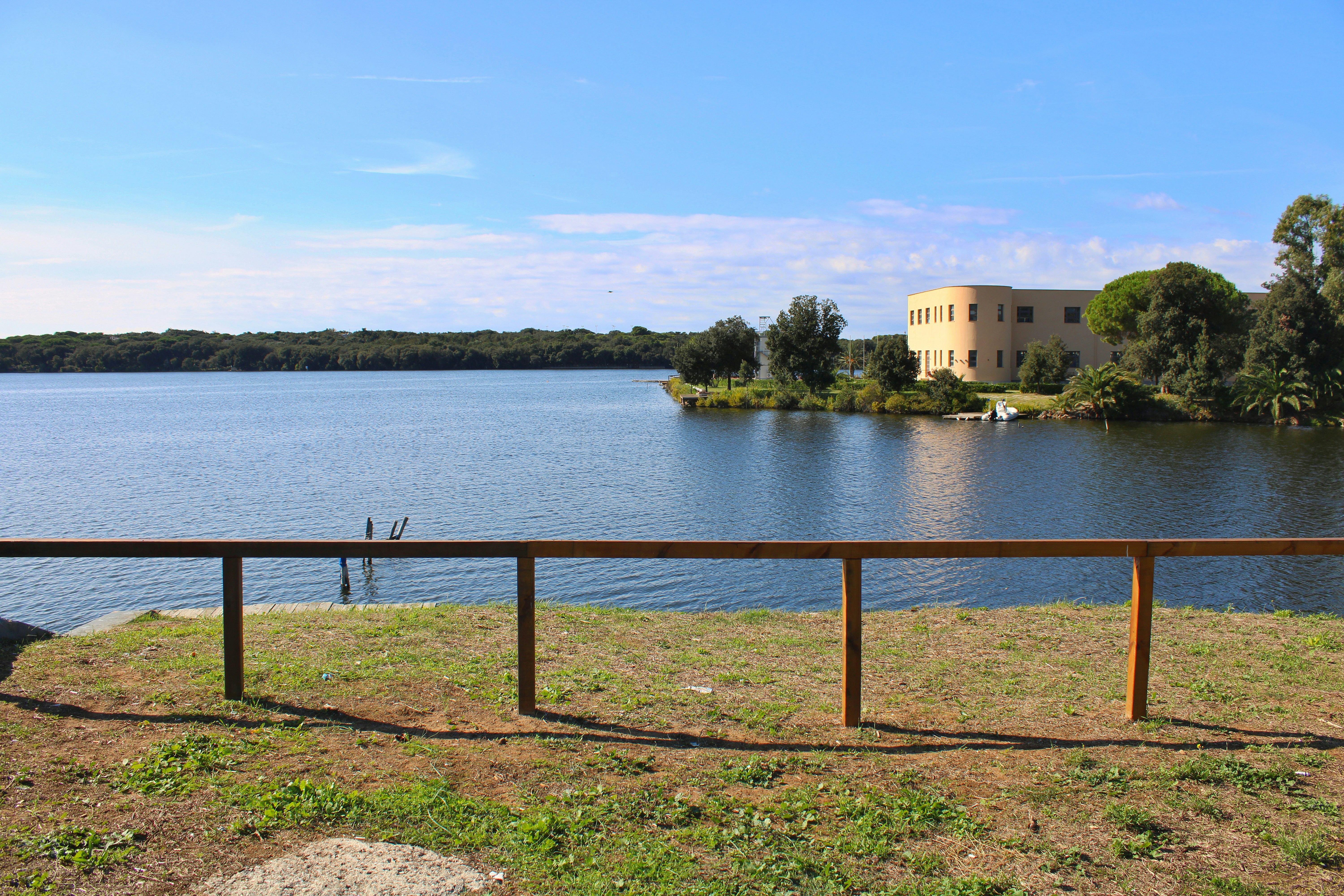 Waterfront Vista: Quiet Lake, Distant Building, and Rail Fence