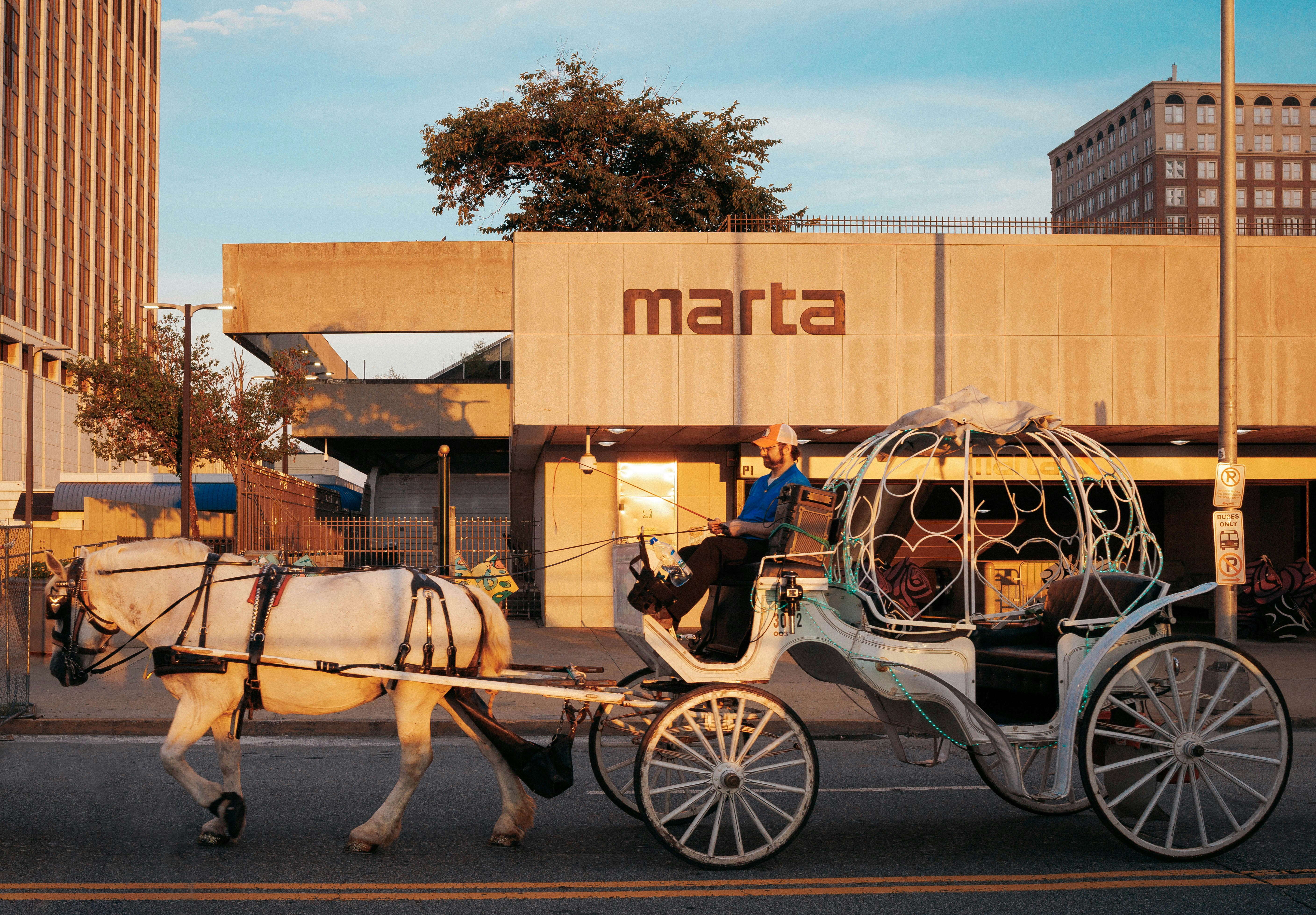 Golden Hour carriage at Marta: horse, driver, and ornate wagon in urban sunset