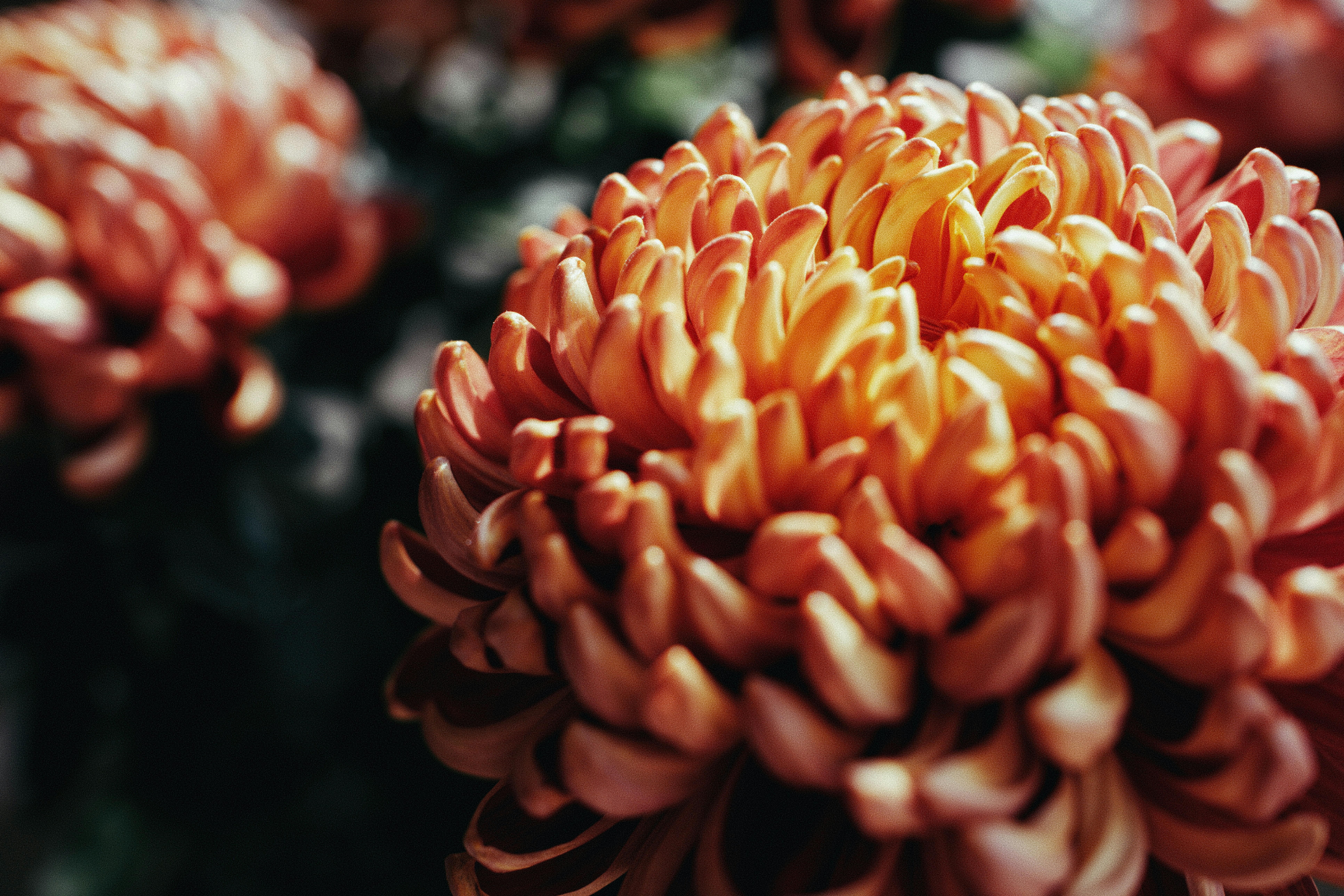 Ryan Zeck (@rmzeck) | Komunitas Foto Unsplash