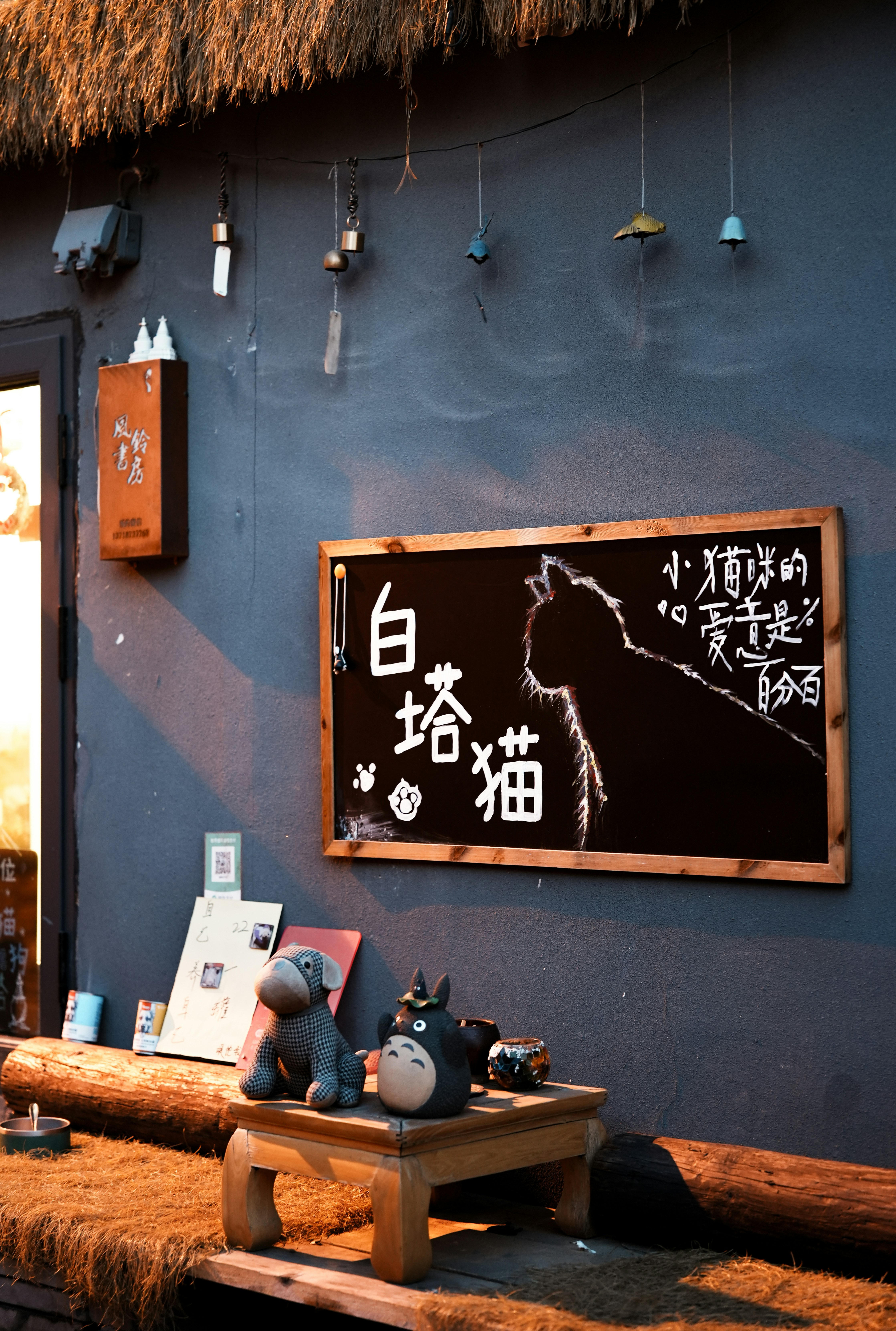 Chalkboard with cat drawing and stuffed animals on table. photo – Free ...