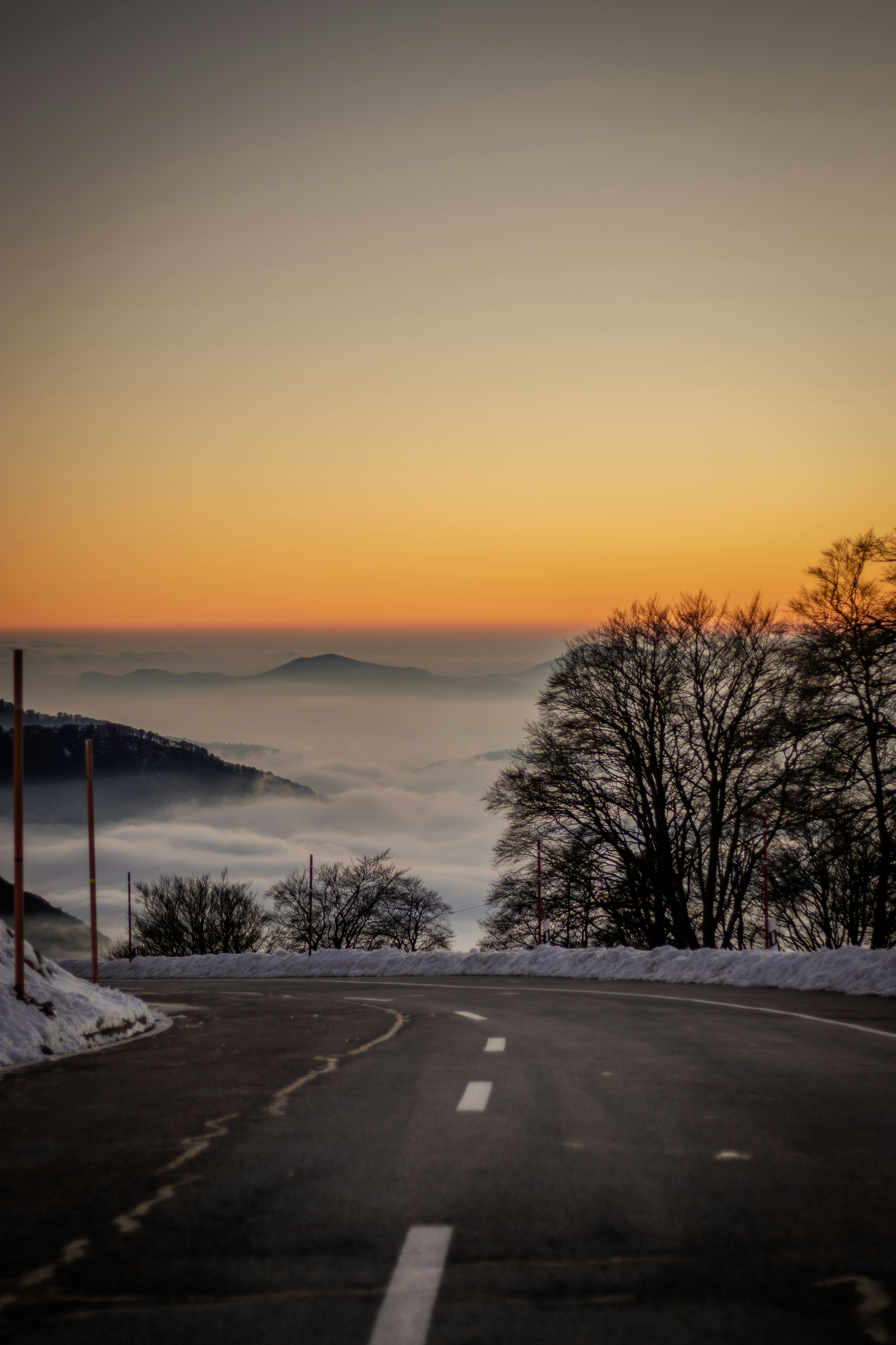 Road to the Misty Horizon