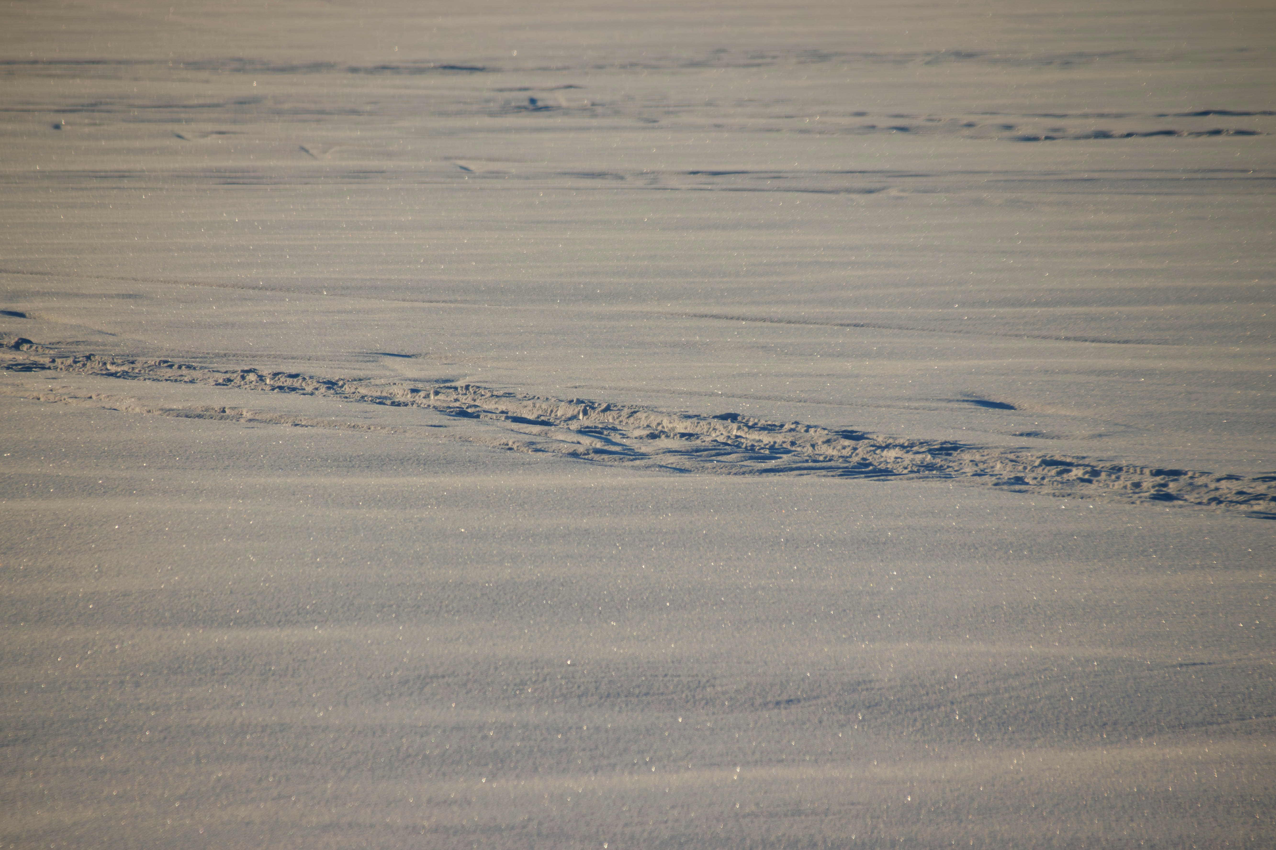 Tracks Across Quiet Frost: A Minimal Snow Landscape