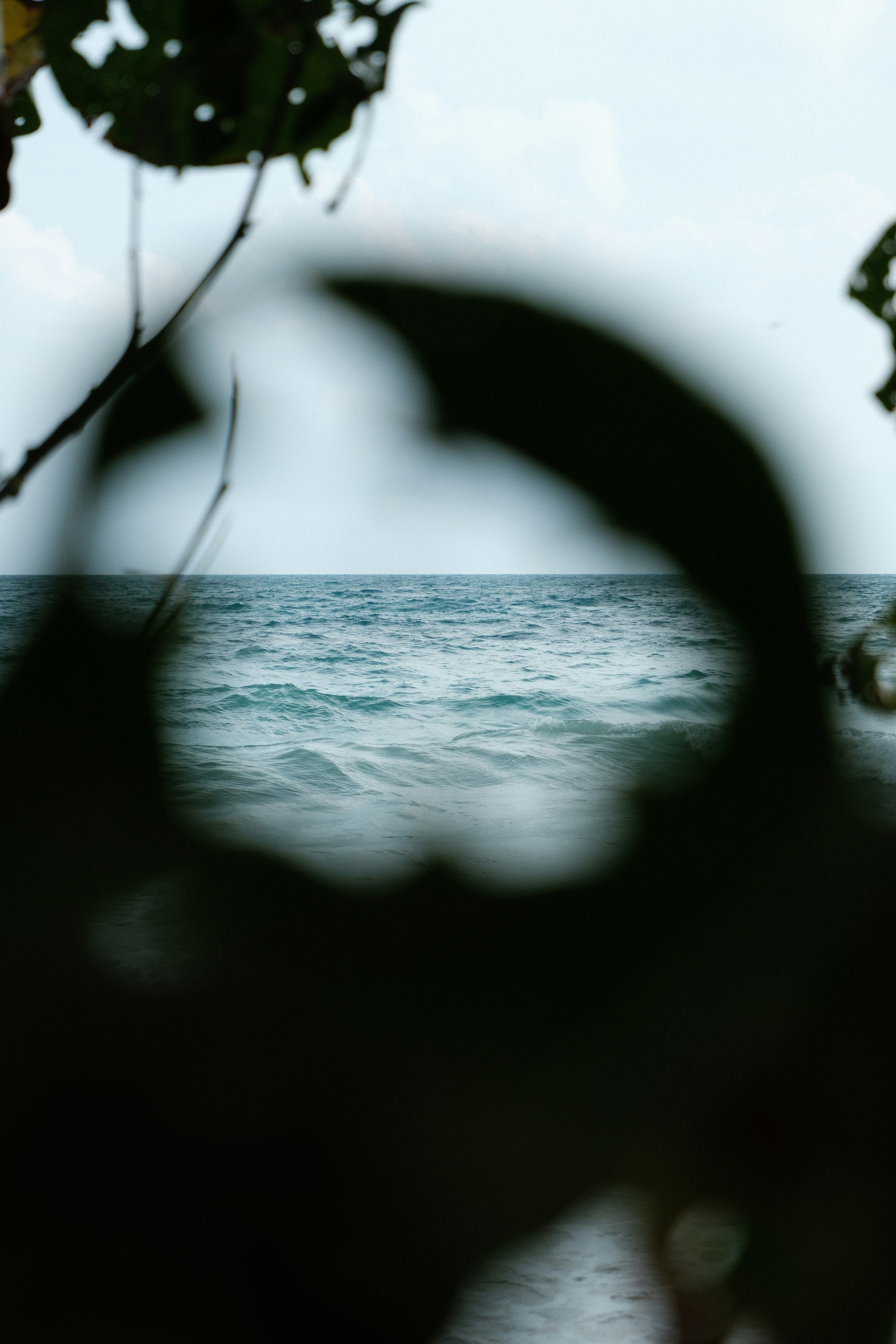 Circular Frame: Ocean Horizon Through Foreground Foliage
