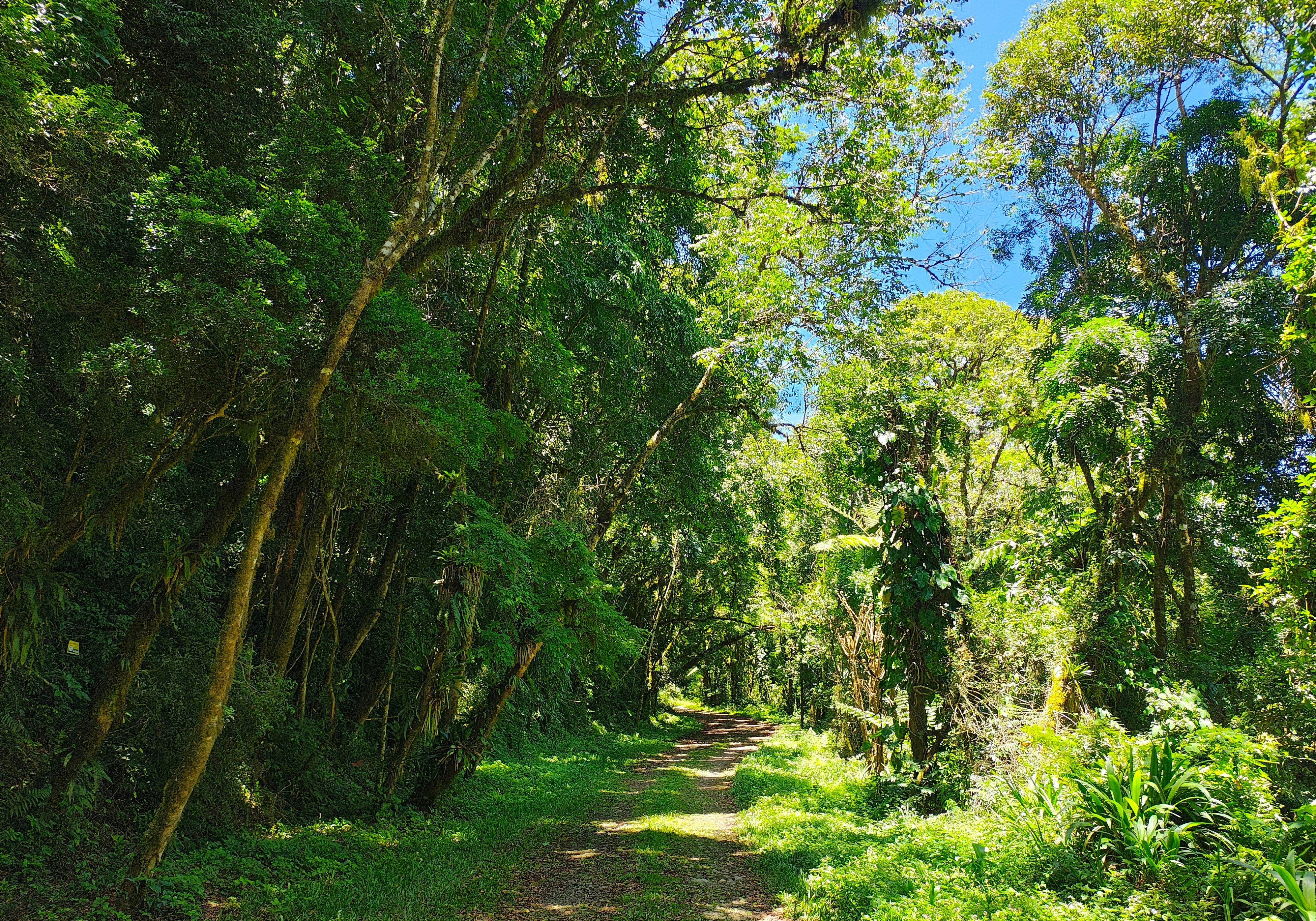 Photo by Joao Neto with Motorola Edge 50 Pro