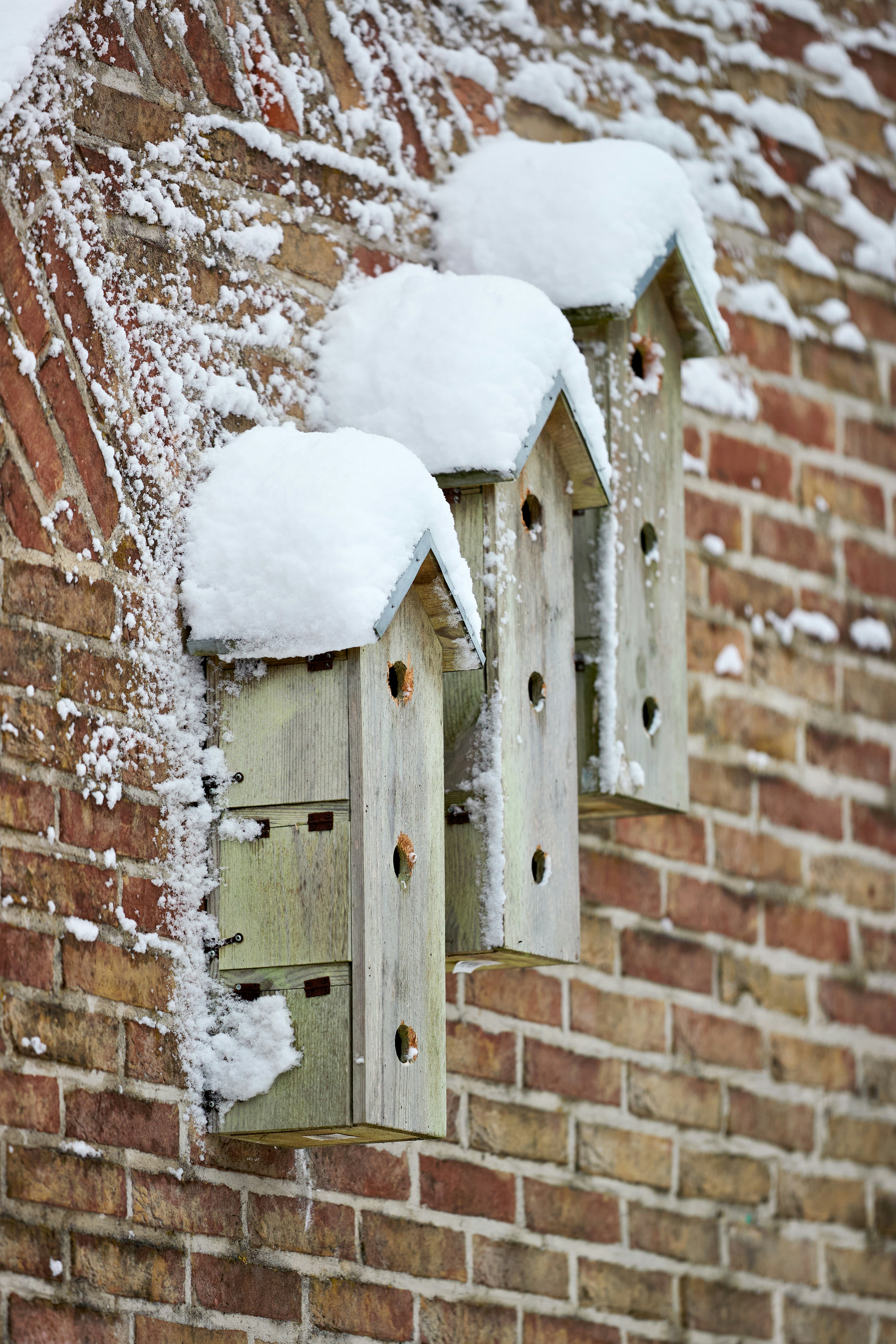 Snow-Kissed Birdhouses line a frost-painted brick wall