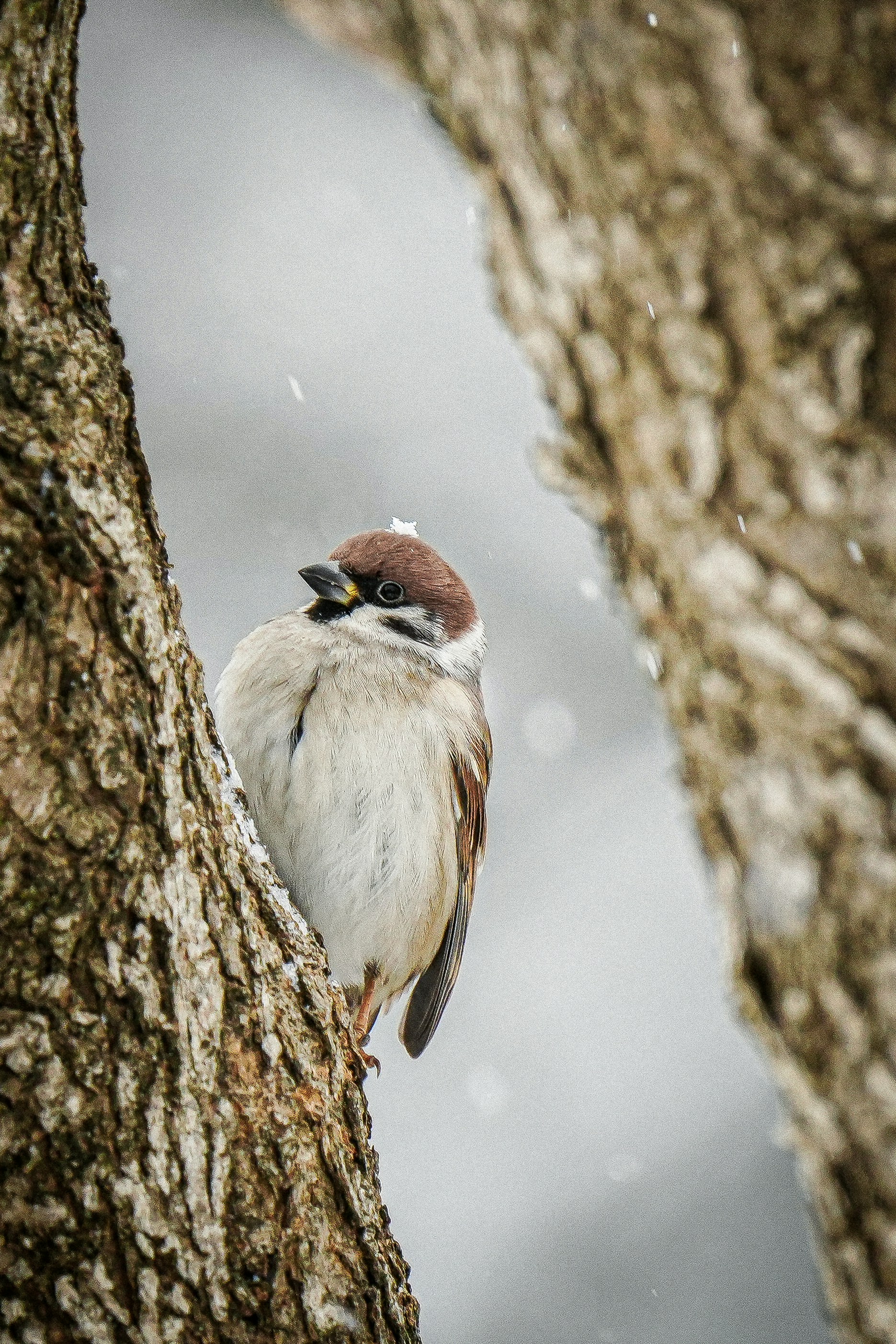 Photo by Nikola  Tomašić with Sony Alpha 7 IV