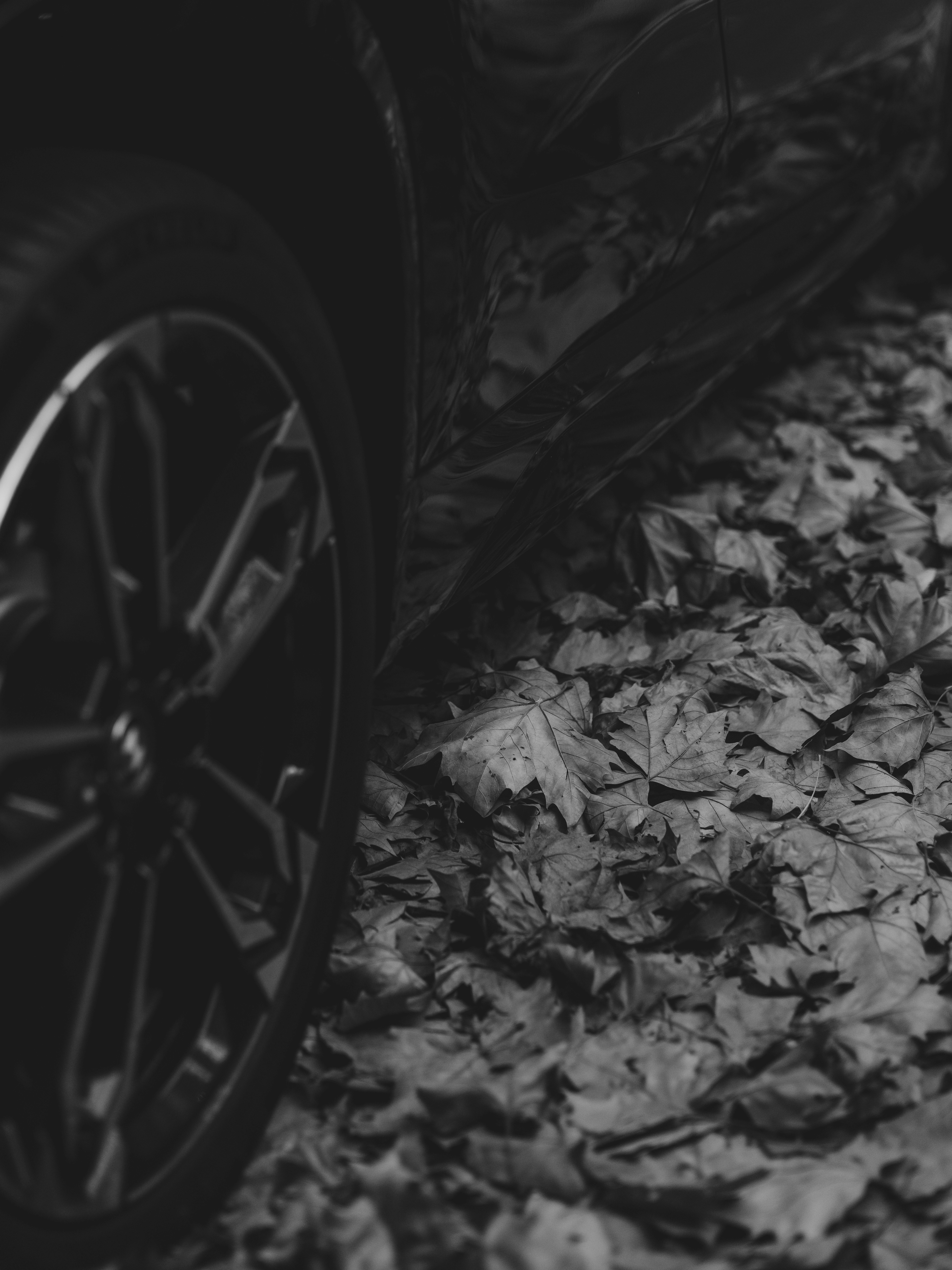 Monochrome Wheel in the Leaves