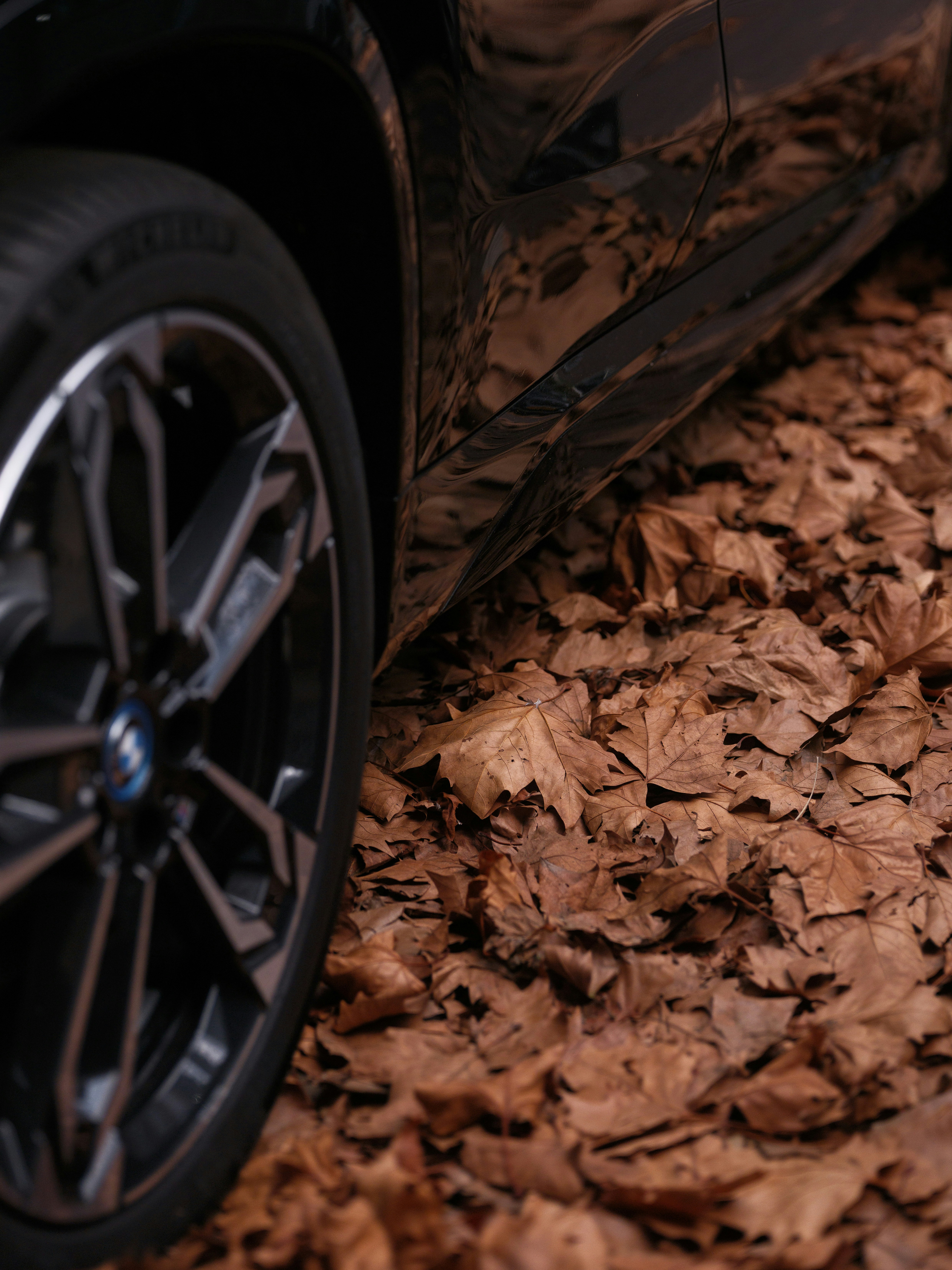 Low-angle Shot of a Dark Car Sideskirt Resting on Autumn Leaves