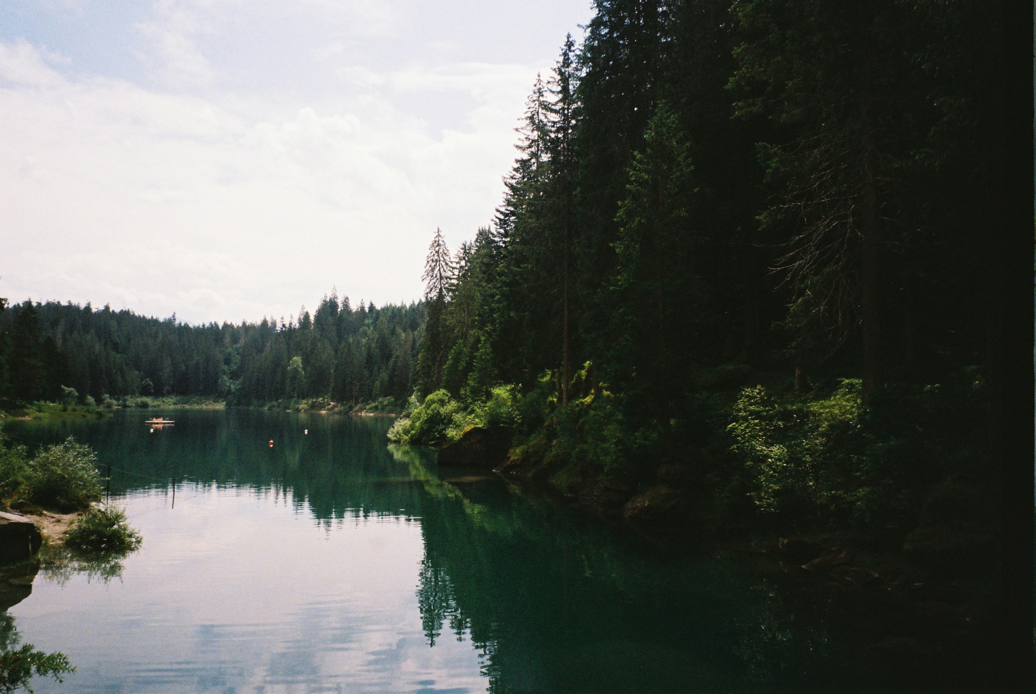 Tranquil lake surrounded by dense evergreen forest.