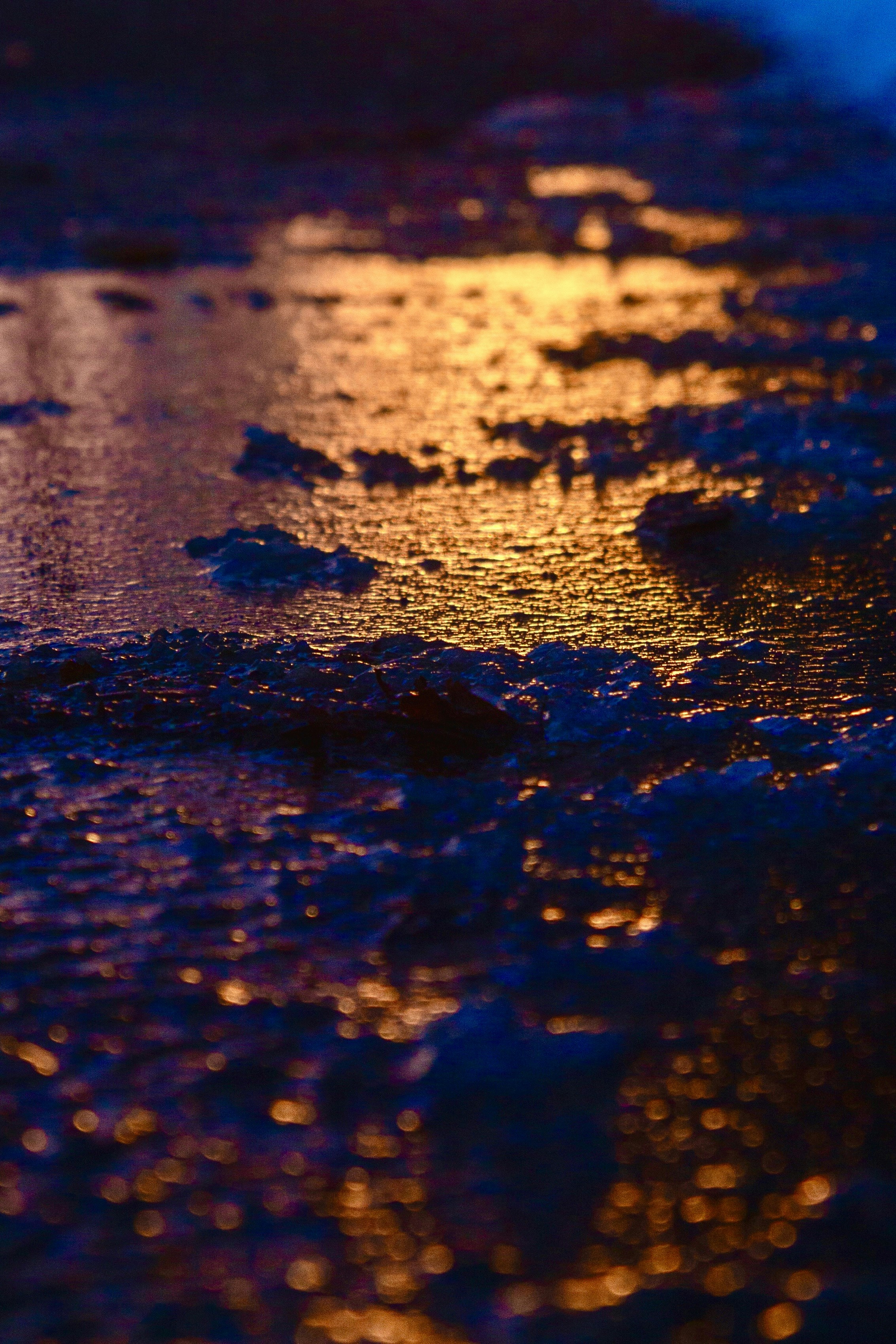 Glowing Ice Fragments on a Dusk-Tinted Tide