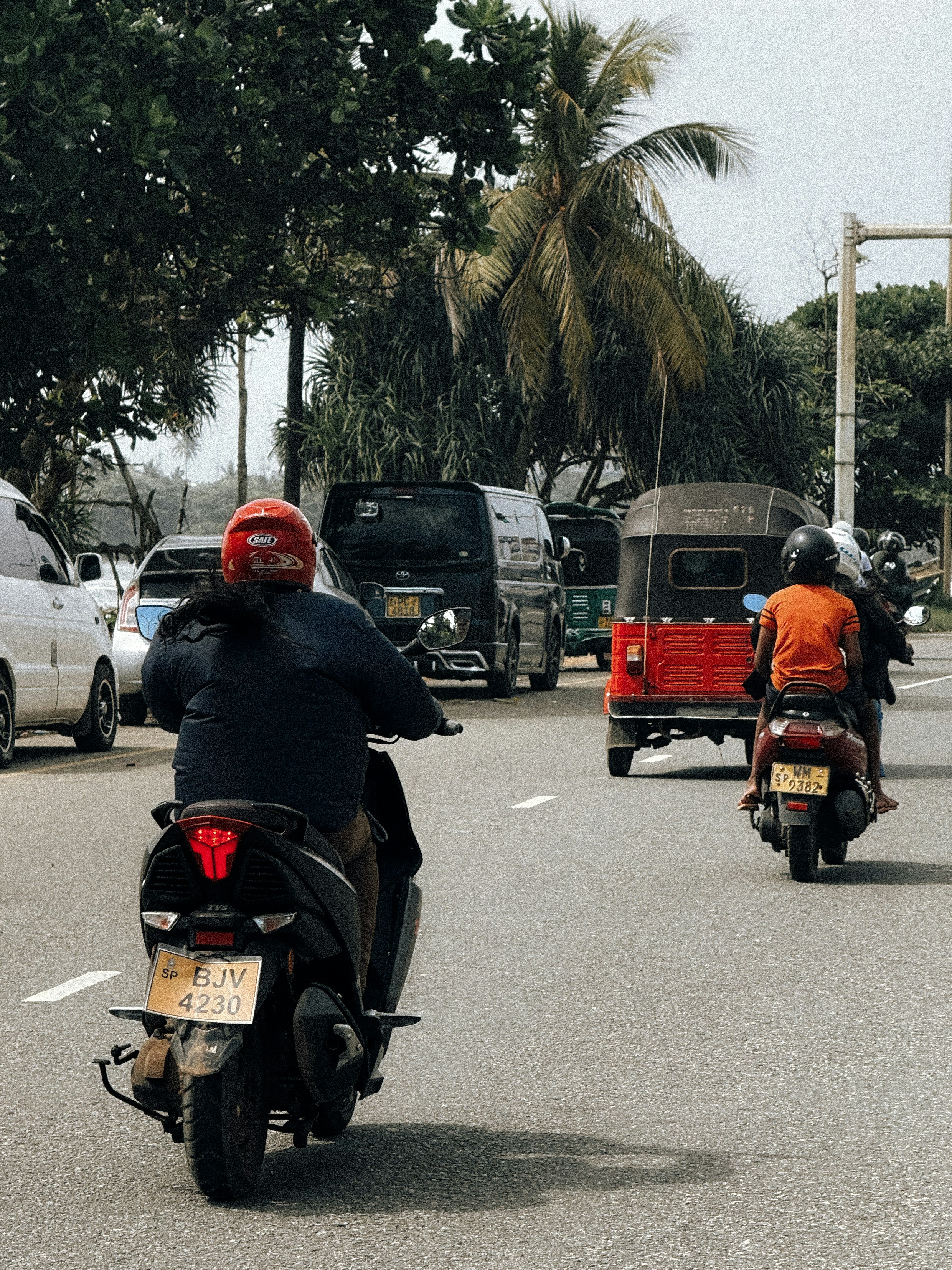 Backroads of a Coastal City: Riders Converge Along a Palm-Shaded Street