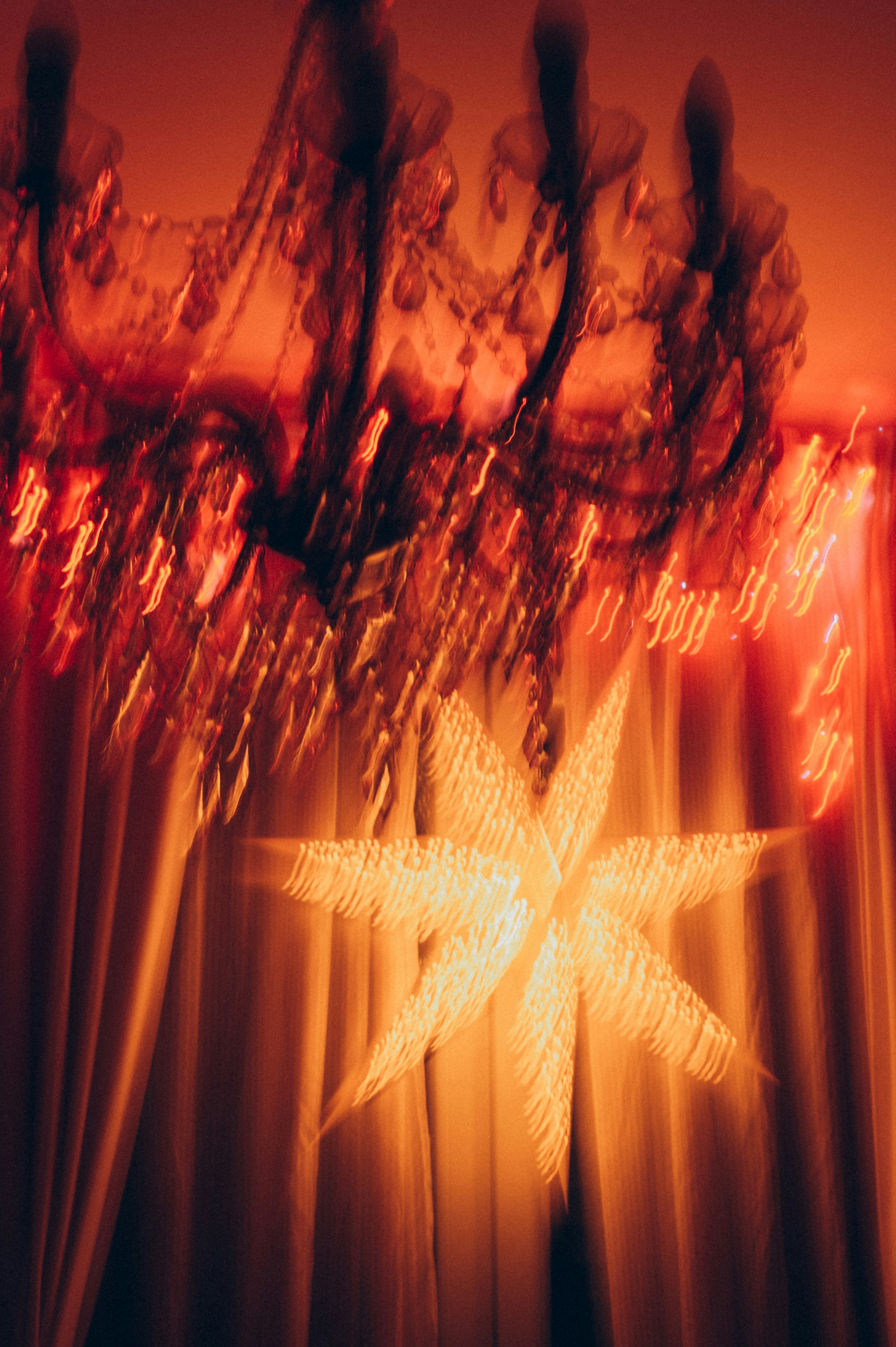 Glowing Star in a Velvet Curtain: A Motion-Bloom of Holiday Lights