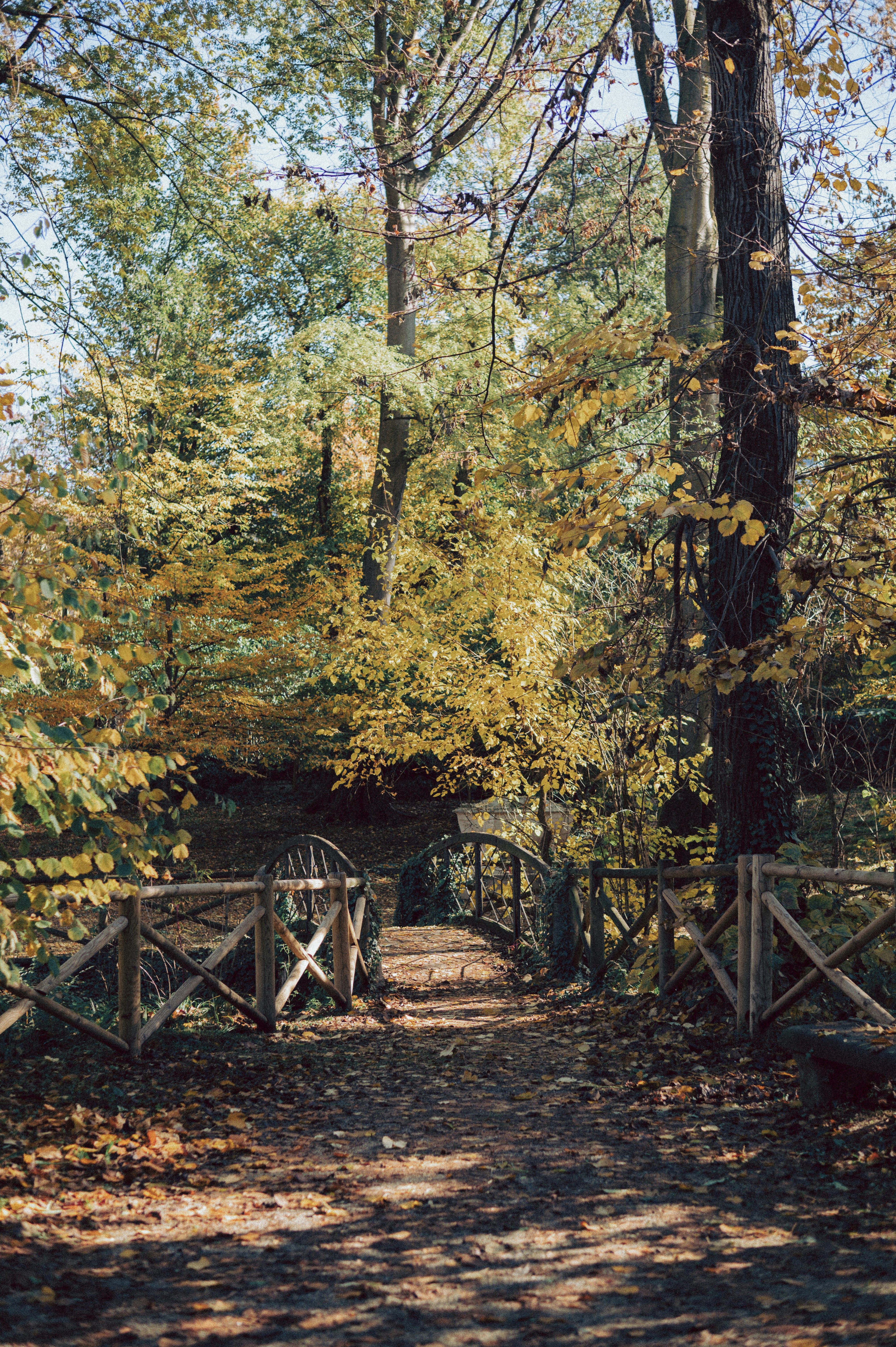 Autumn Path Through a Quiet Forest Gate