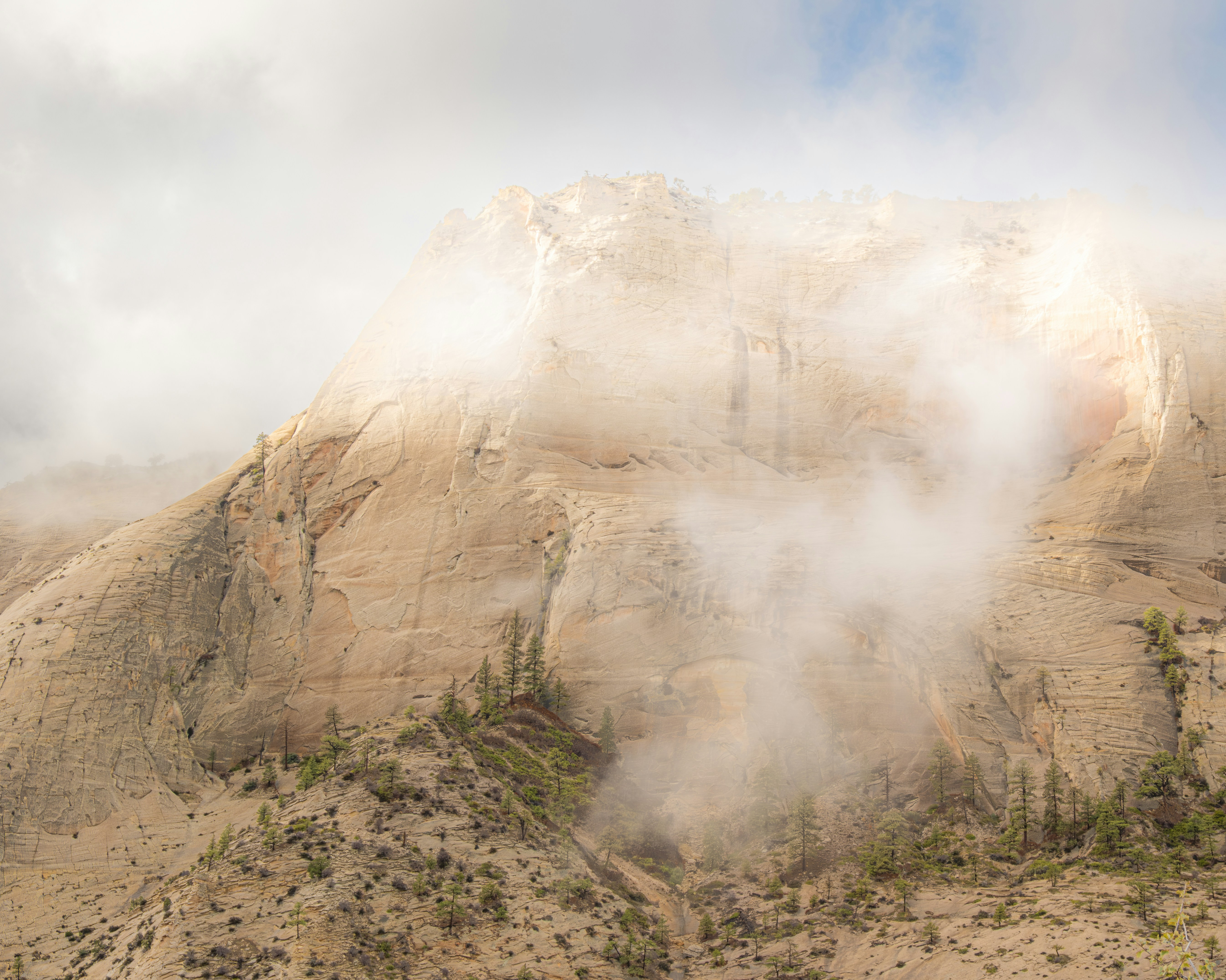 Mist on the Mesa: A Quiet Elevation Wrapped in Fog