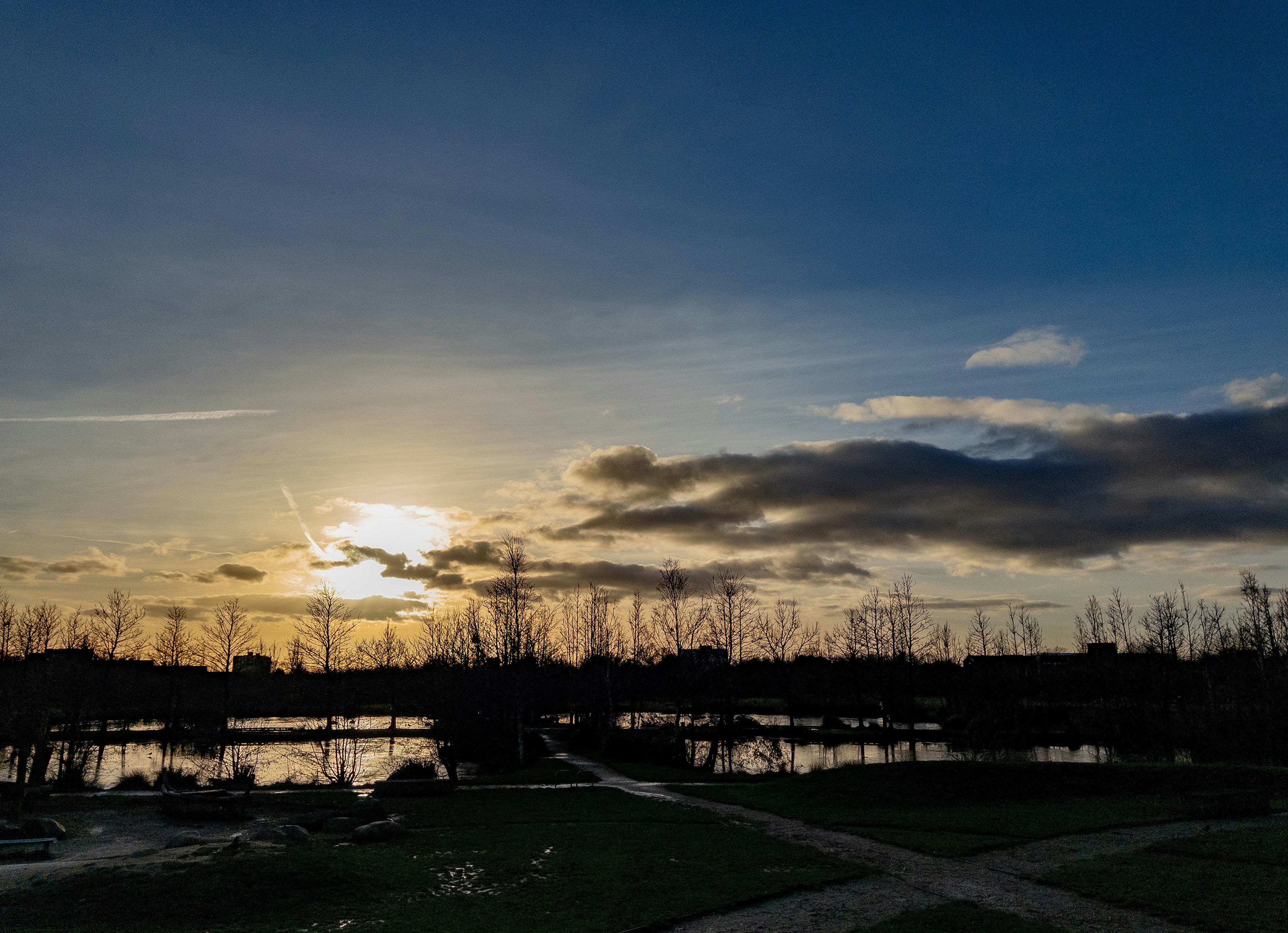 Sunlit Horizon Over Quiet Wetlands at Dusk