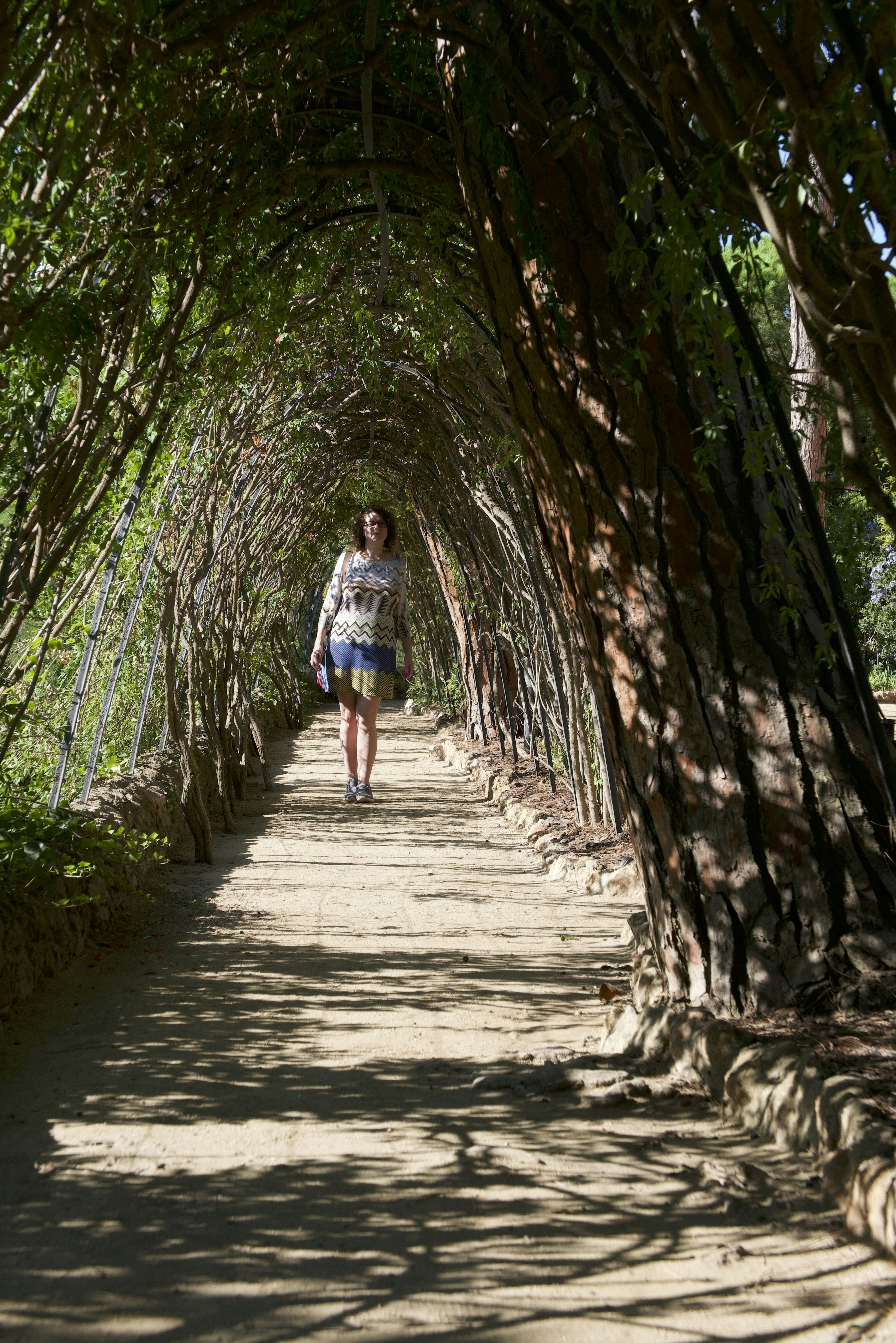 A Tranquil Walk Through a Verdant Arched Corridor