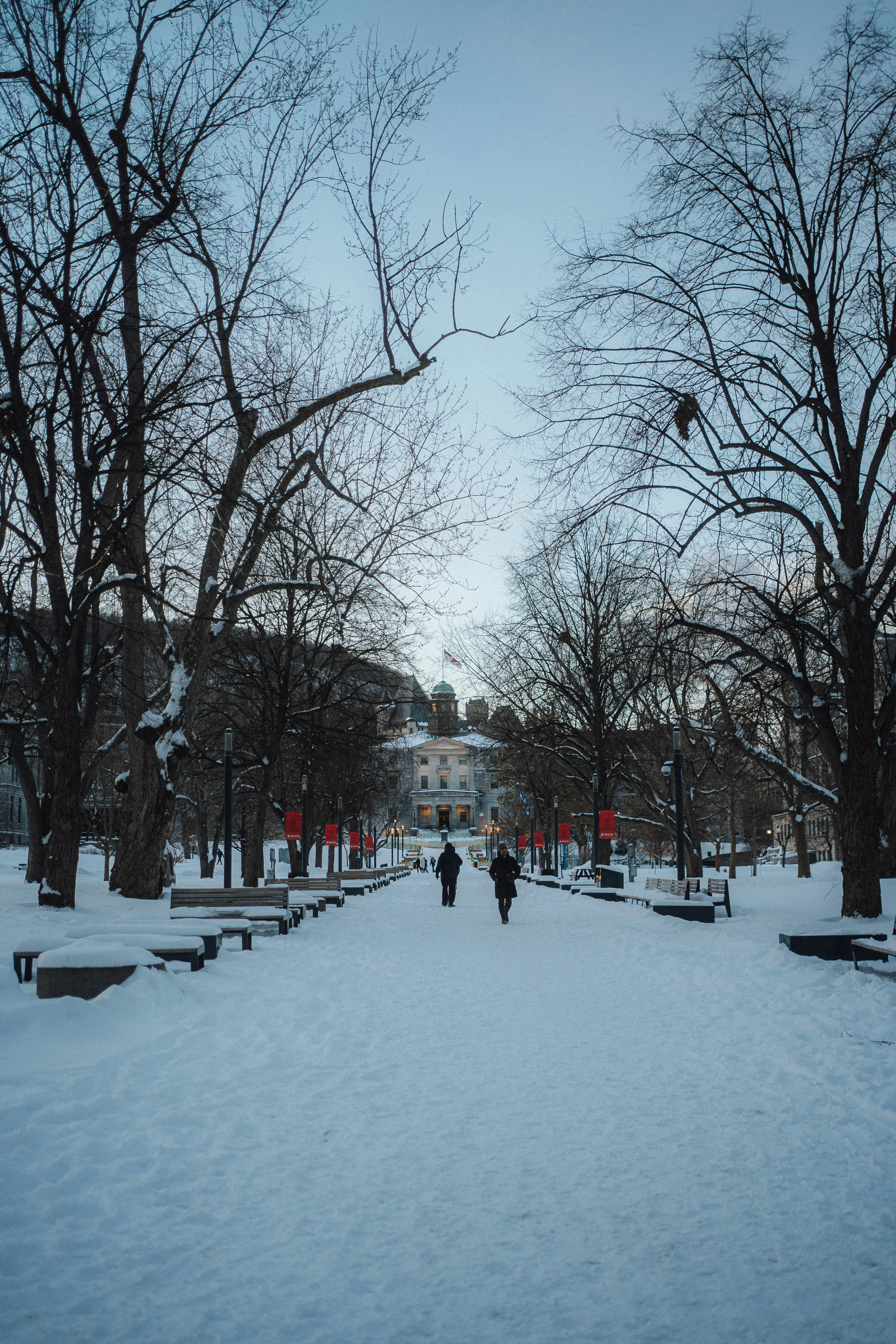 Winter Promenade Toward a Grand Building