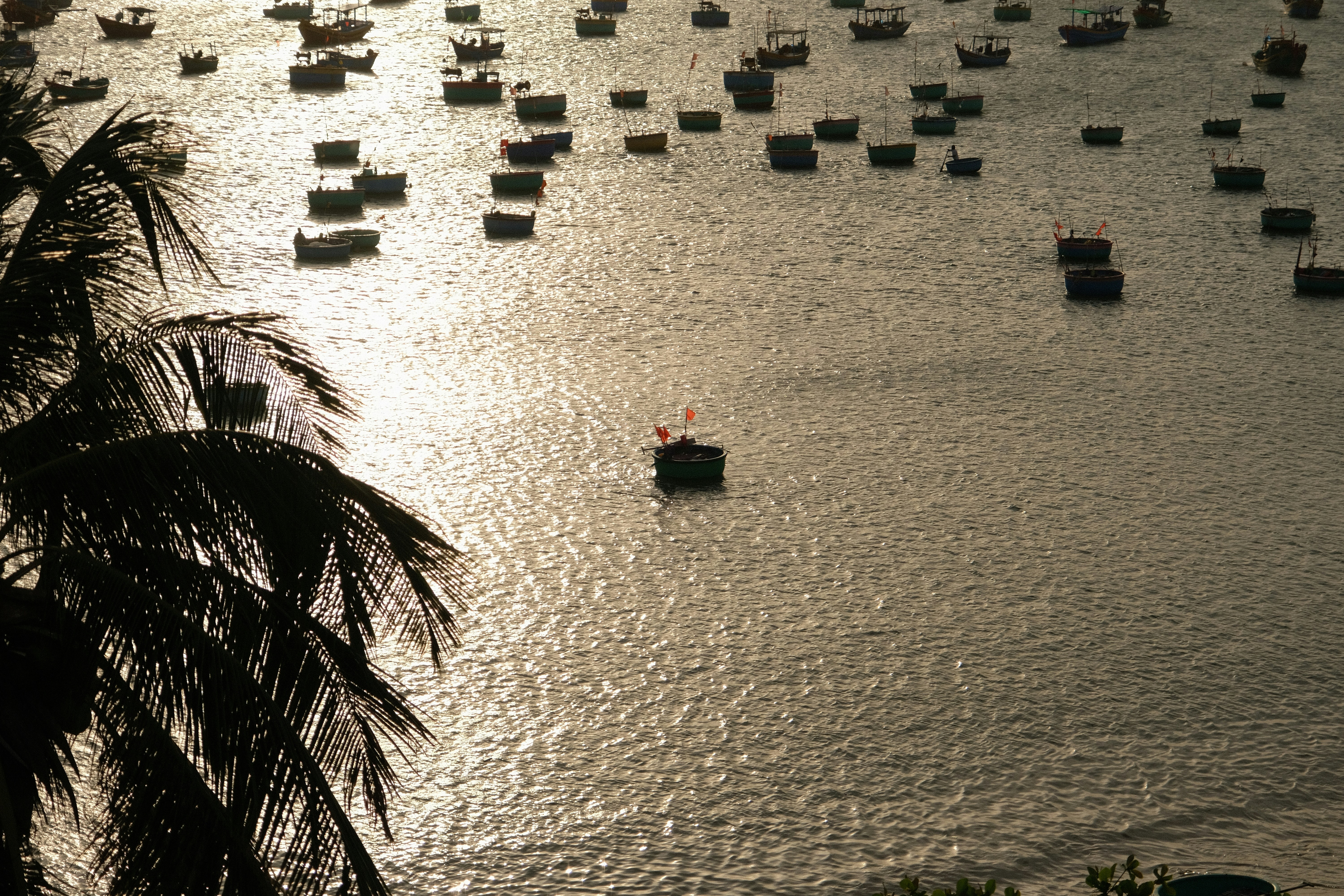 Harbor of Quiet Lights: A Fleet at Dusk