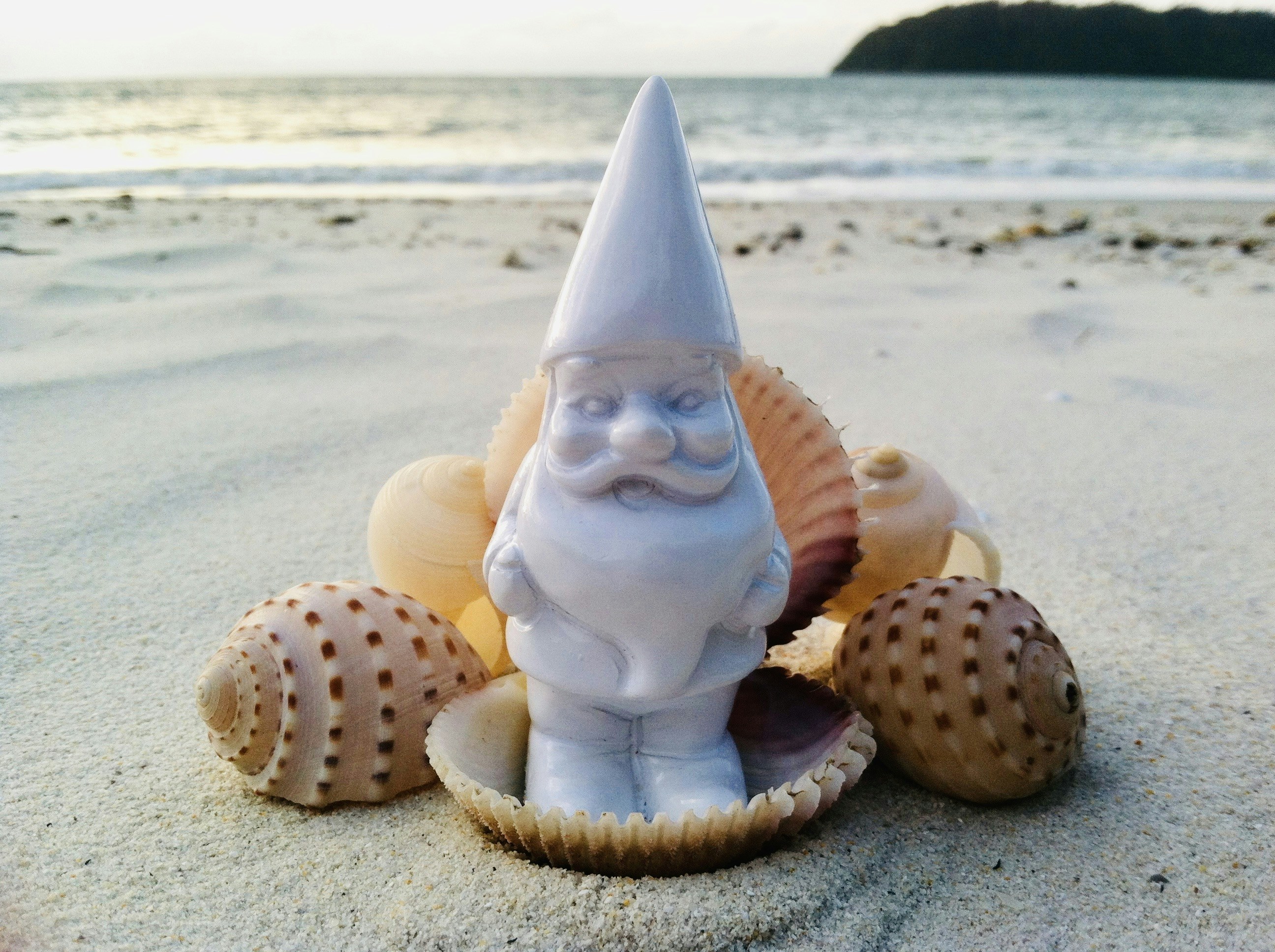 White gnome figurine surrounded by seashells on sand.