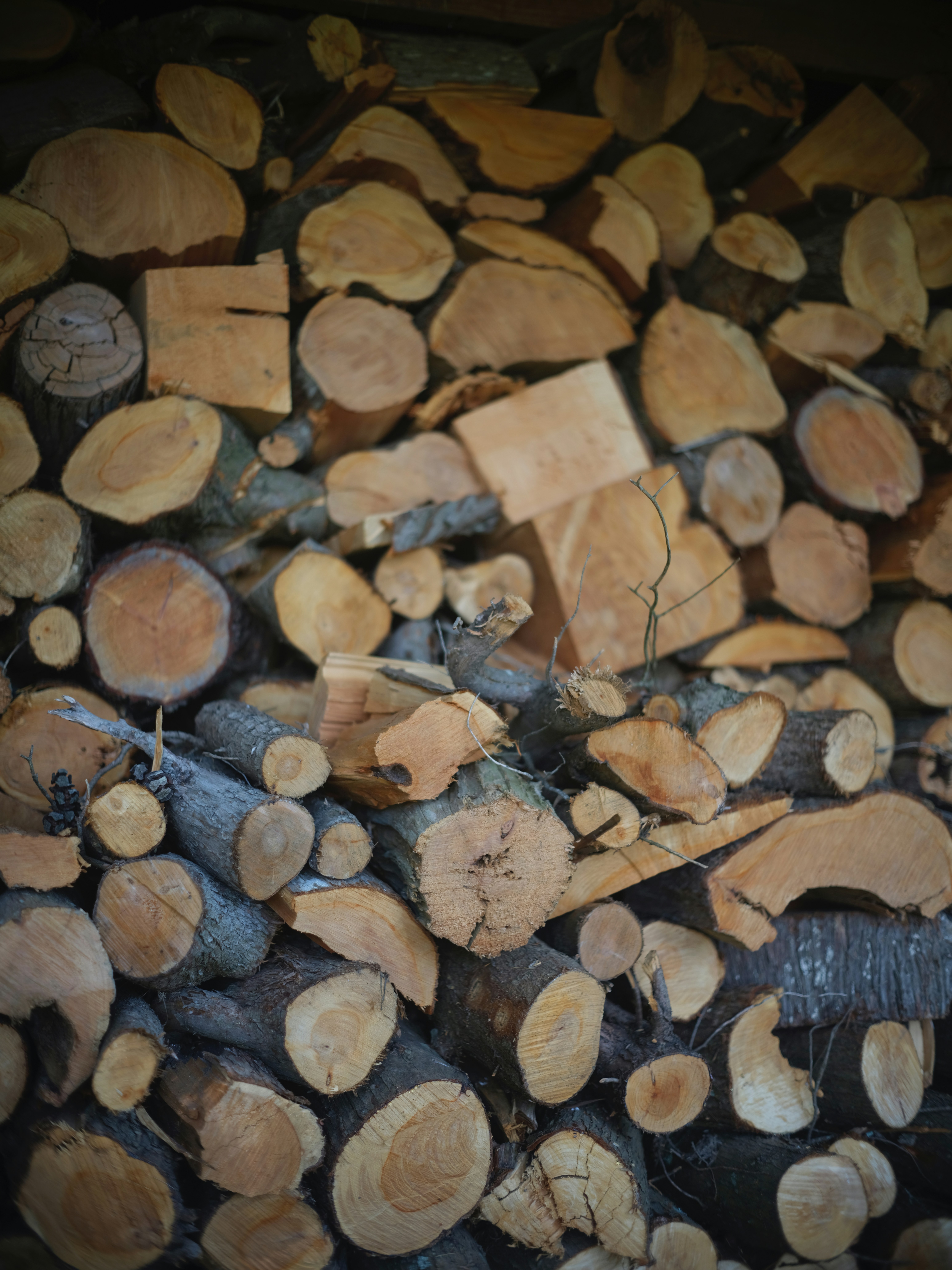 Stacked Firewood Mosaic: Freshly Cut Logs and Round Ends