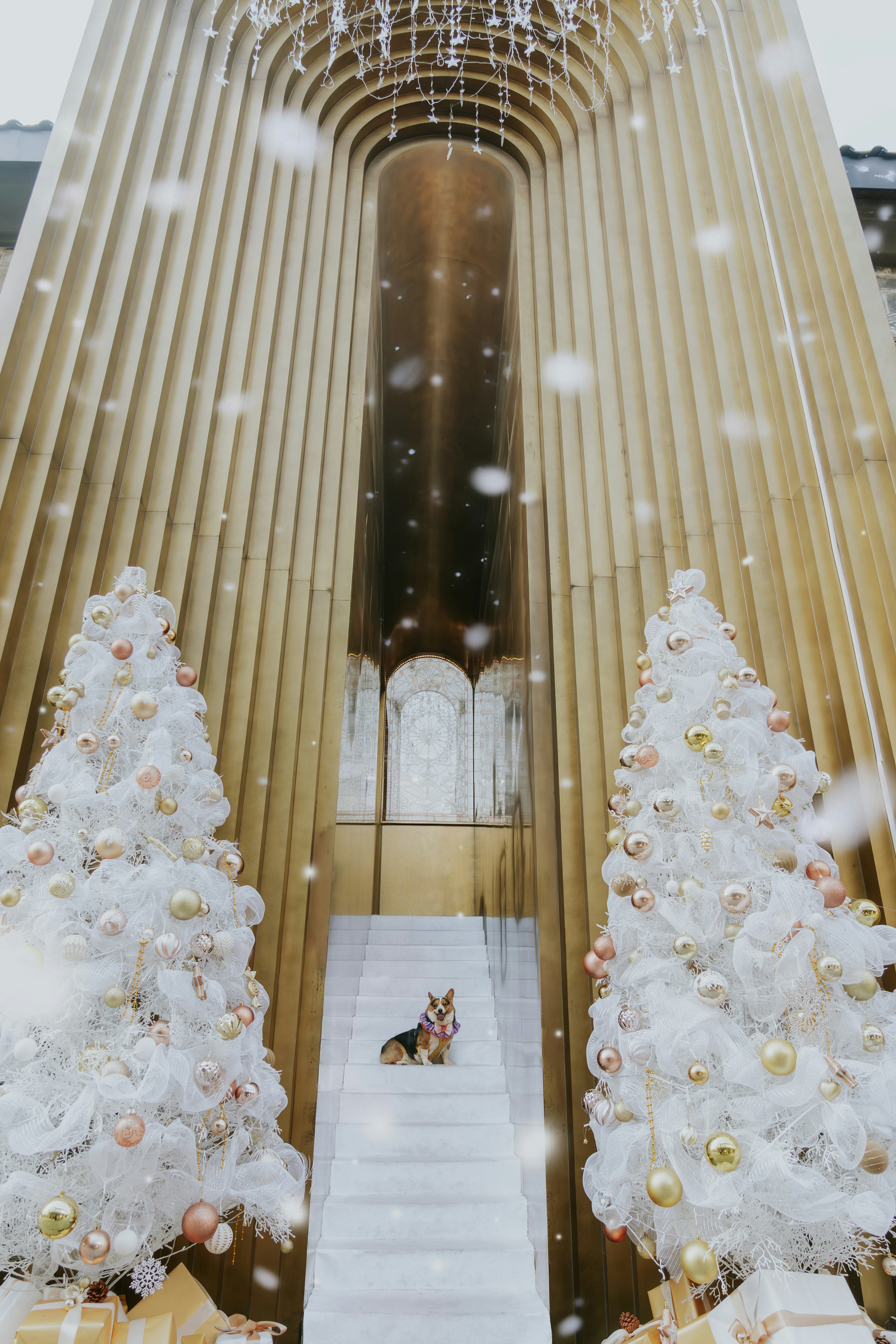 Festive Staircase: A Shy Dog Beneath Ornate Arches