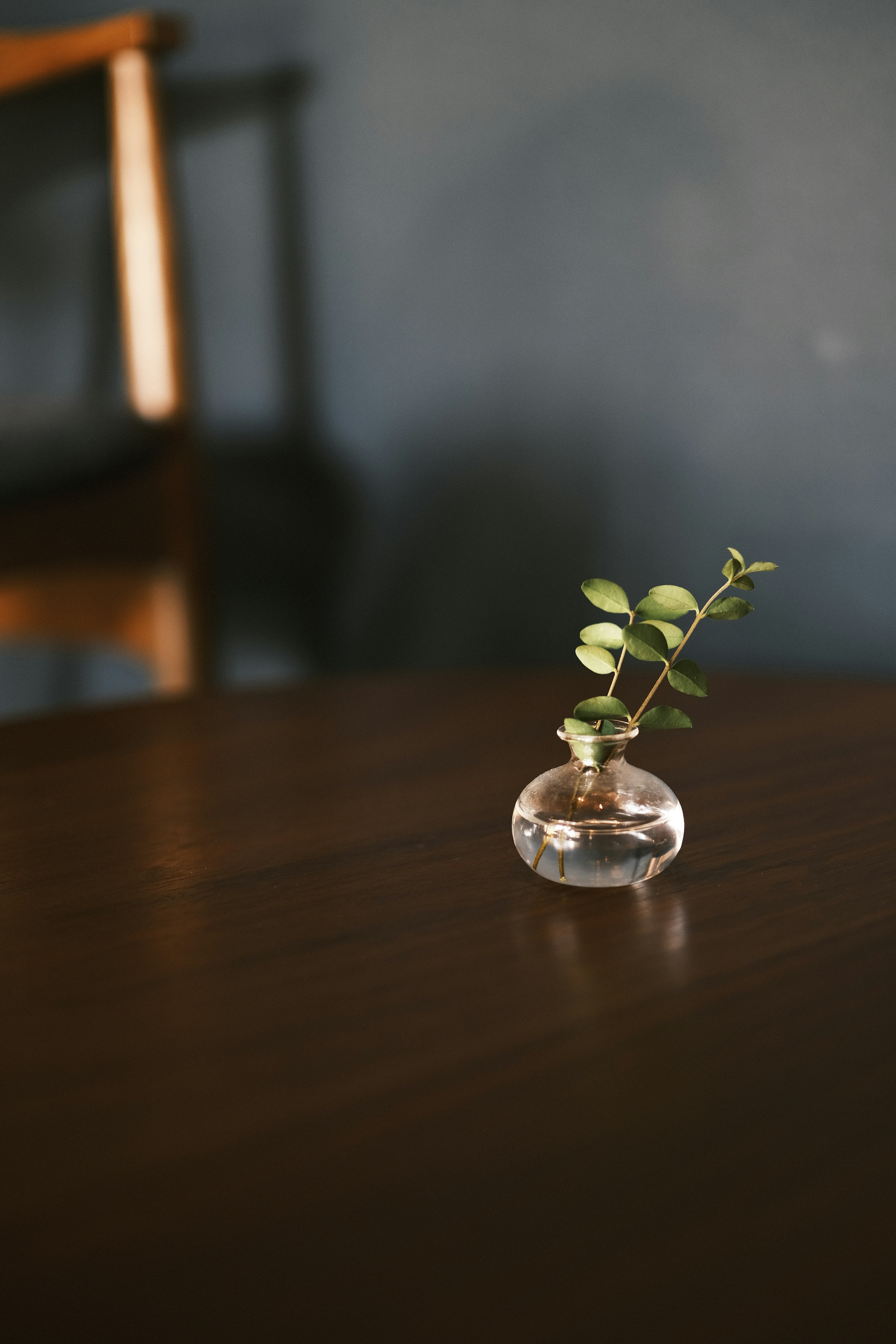 Photo by Perry Merrity II with Fujifilm X-T4