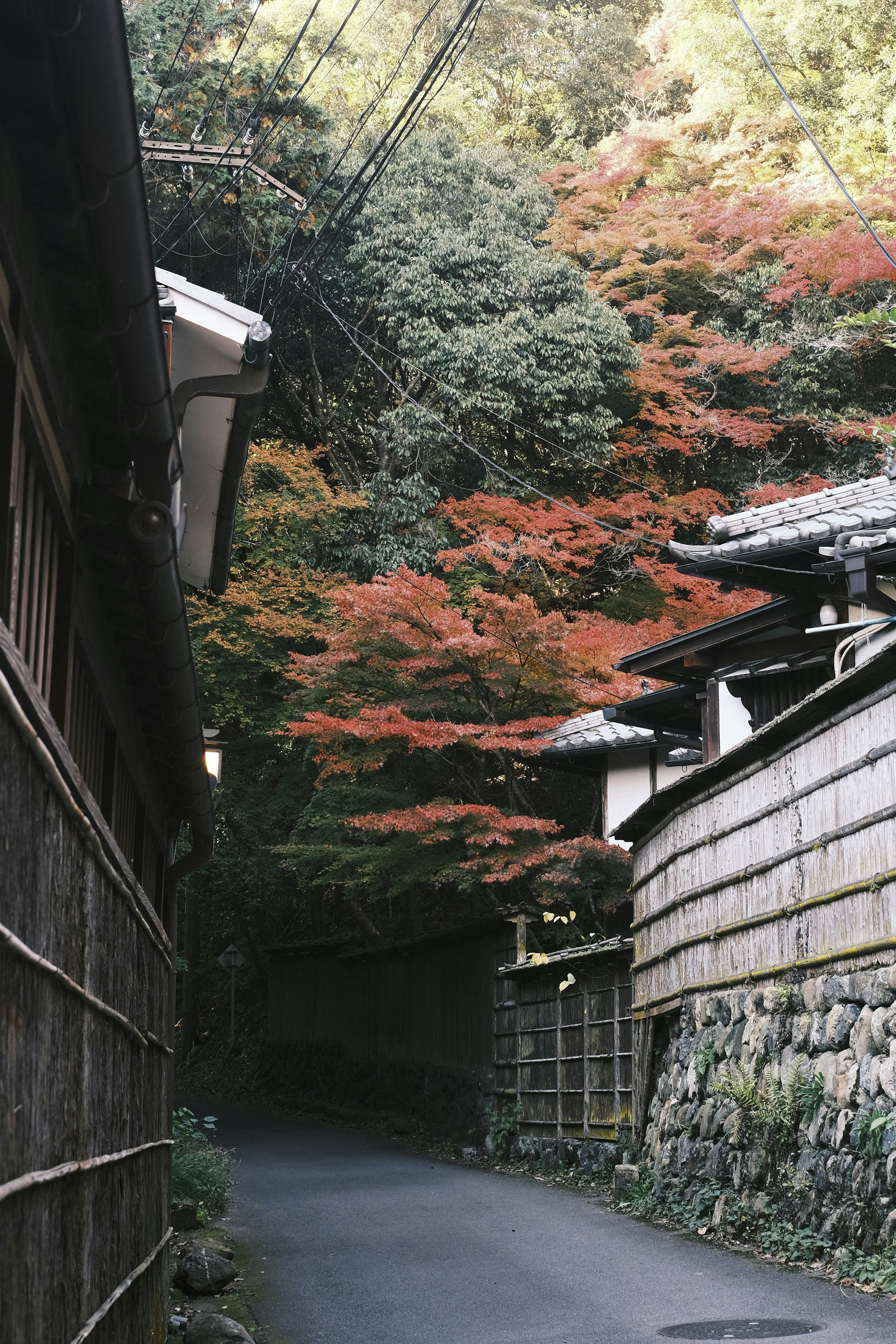 Photo by Perry Merrity II with Fujifilm X-T4