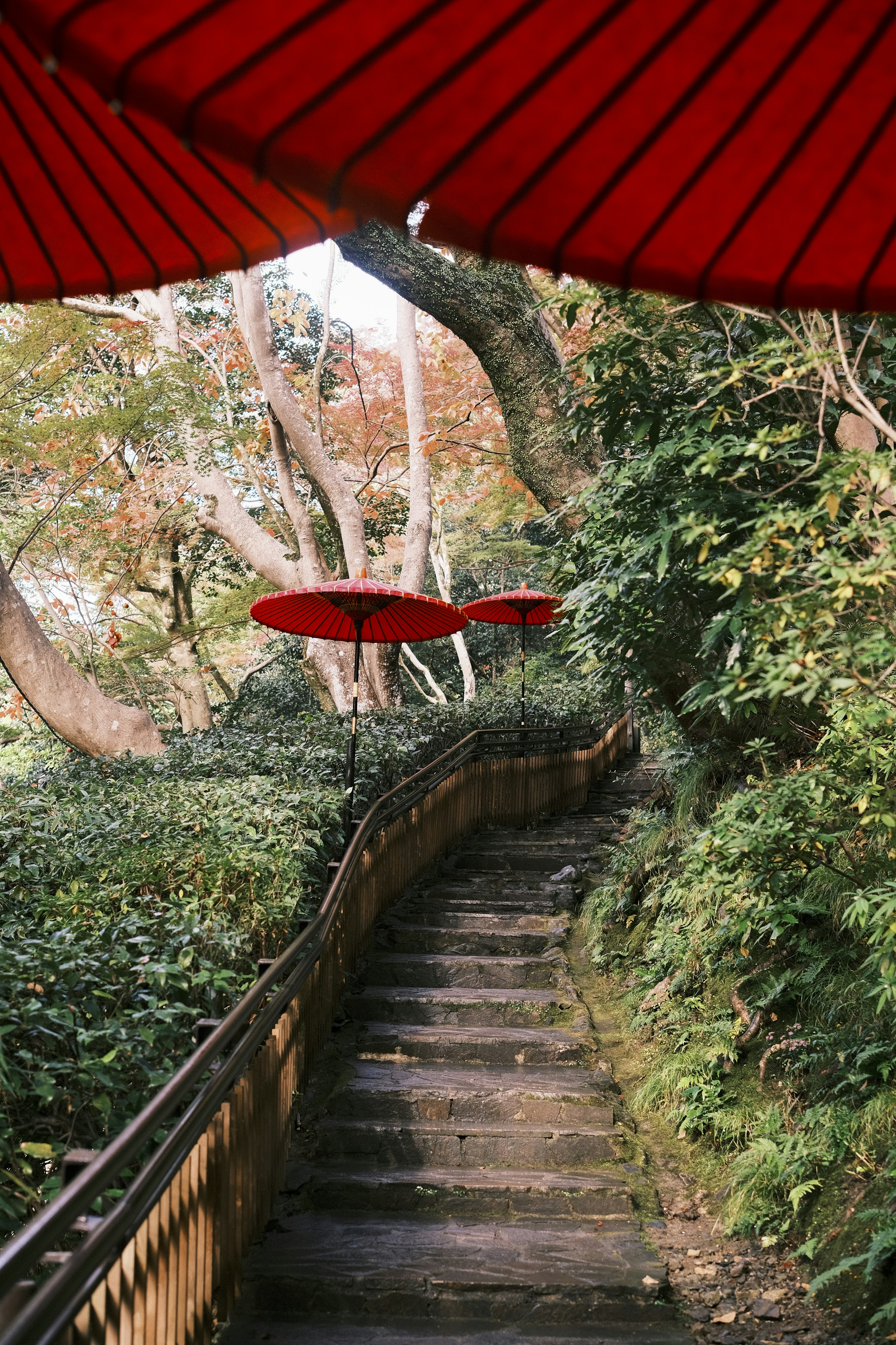 Red Umbrella Corridor: A Staircase through a Garden of Lanterns