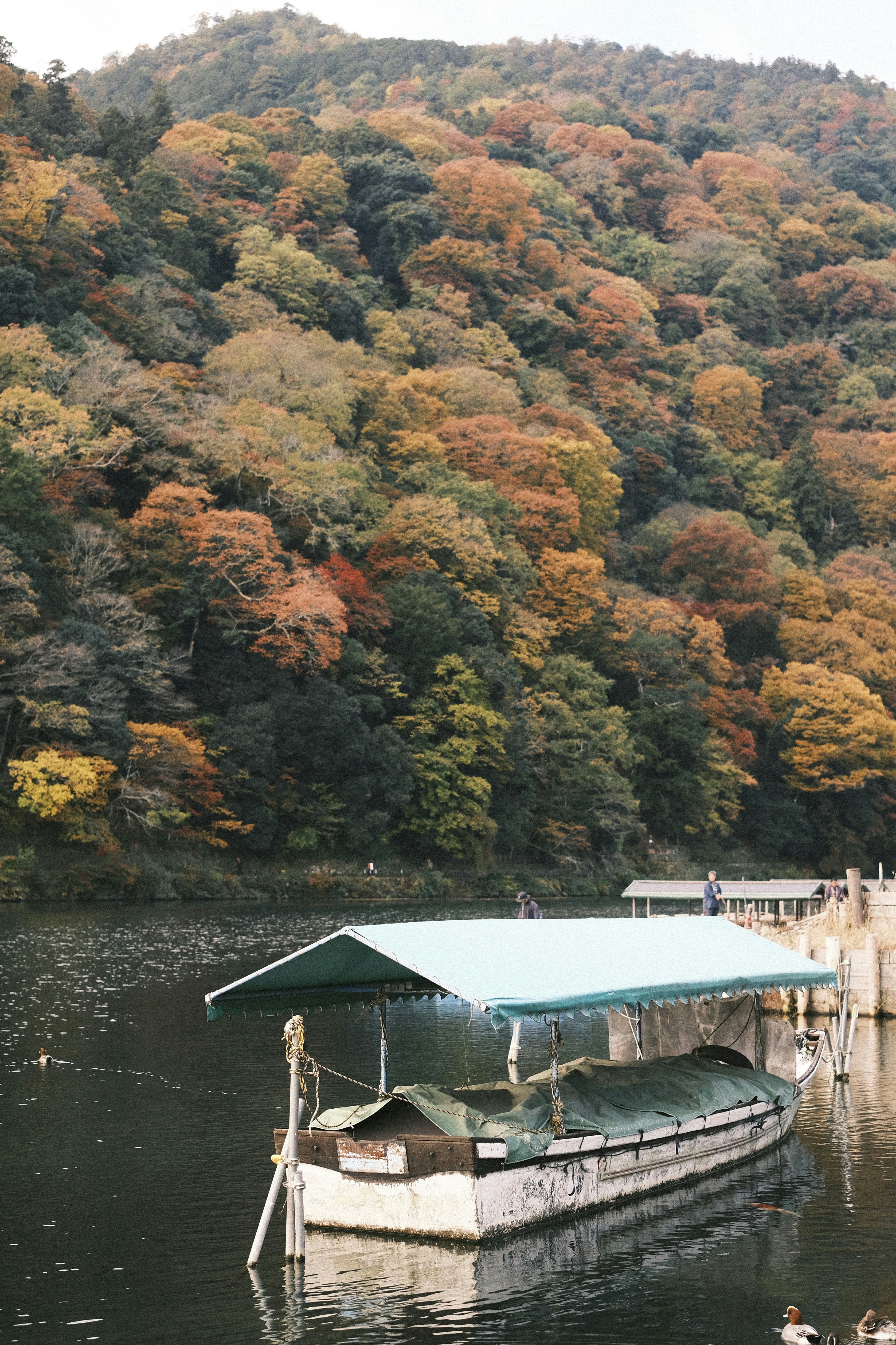 Autumn Harbor: A Leafy Cliffsides Scene Framing a Quiet Boat