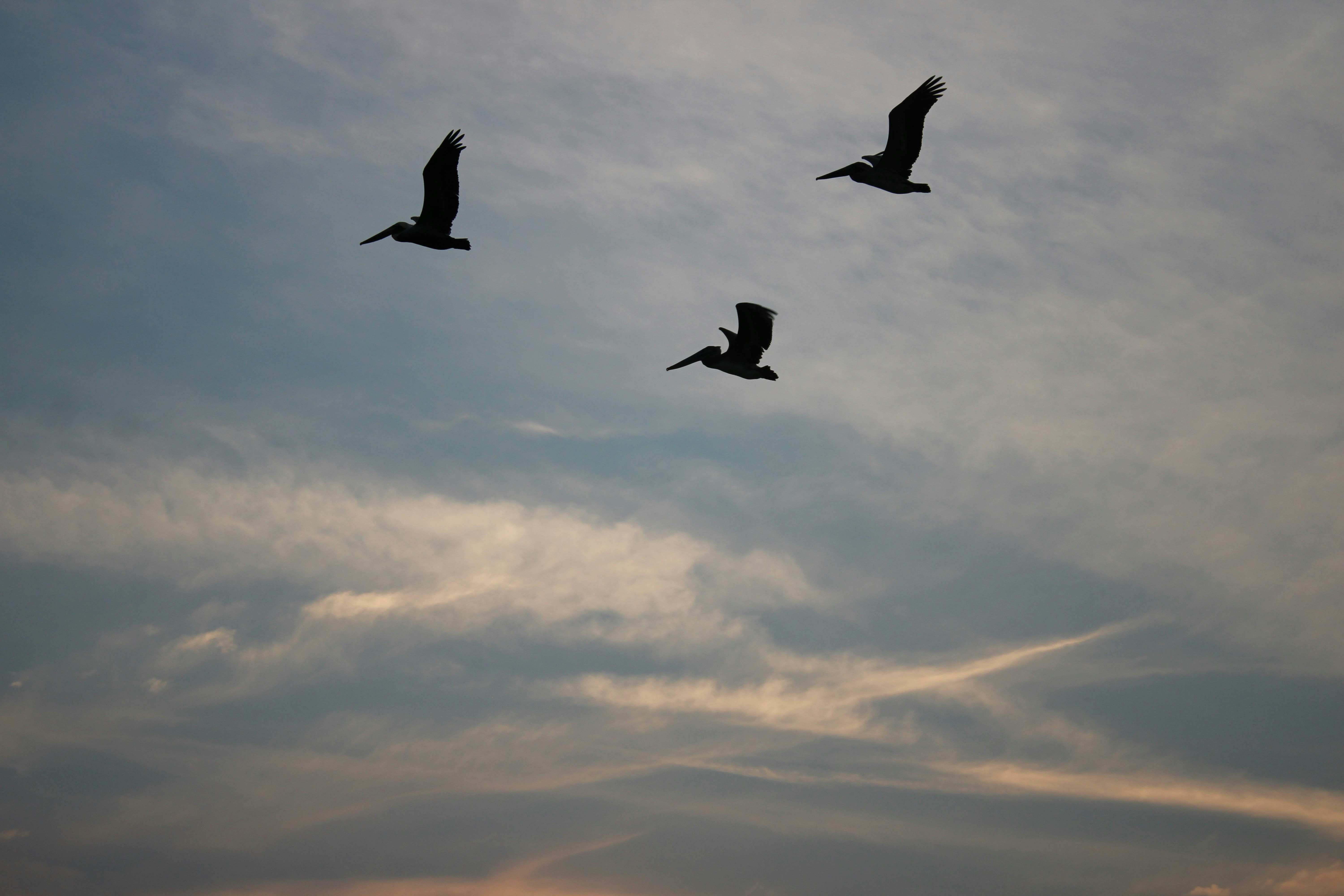 Photo by Veronica MORENO-ALVAREZ with Canon EOS 2000D