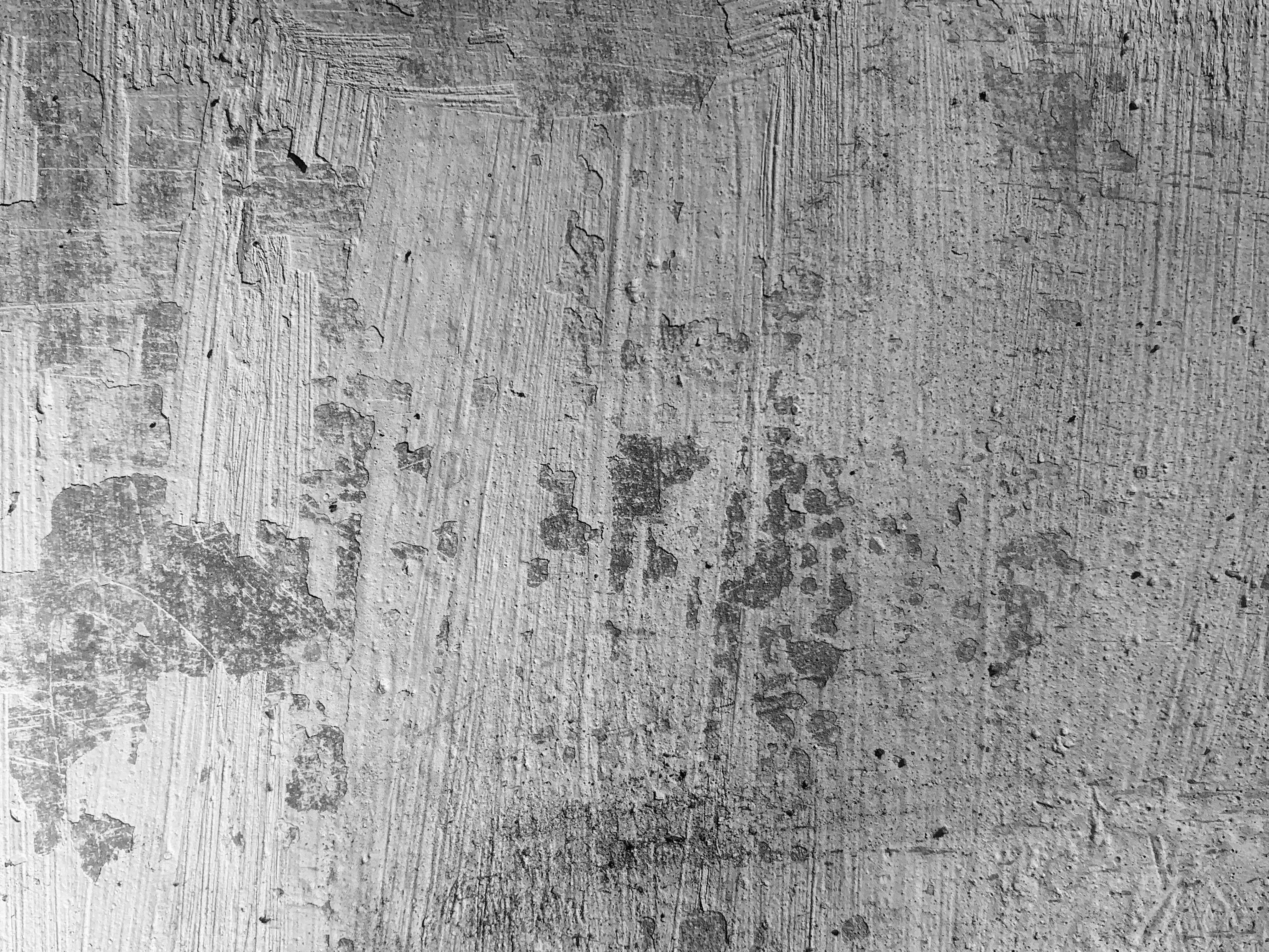 Photo by Second Breakfast with Apple iPhone XR