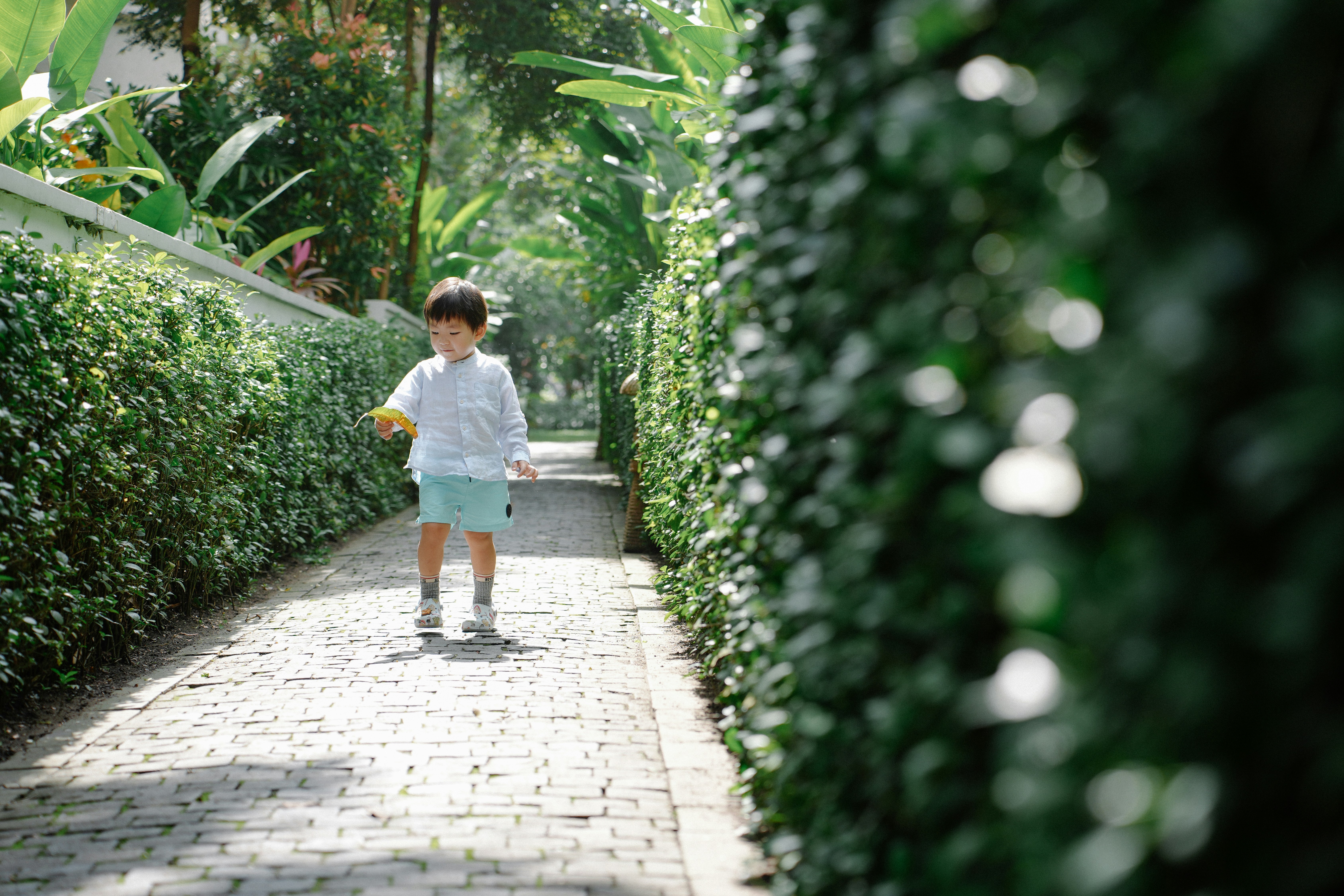 Young boy walks down a garden path