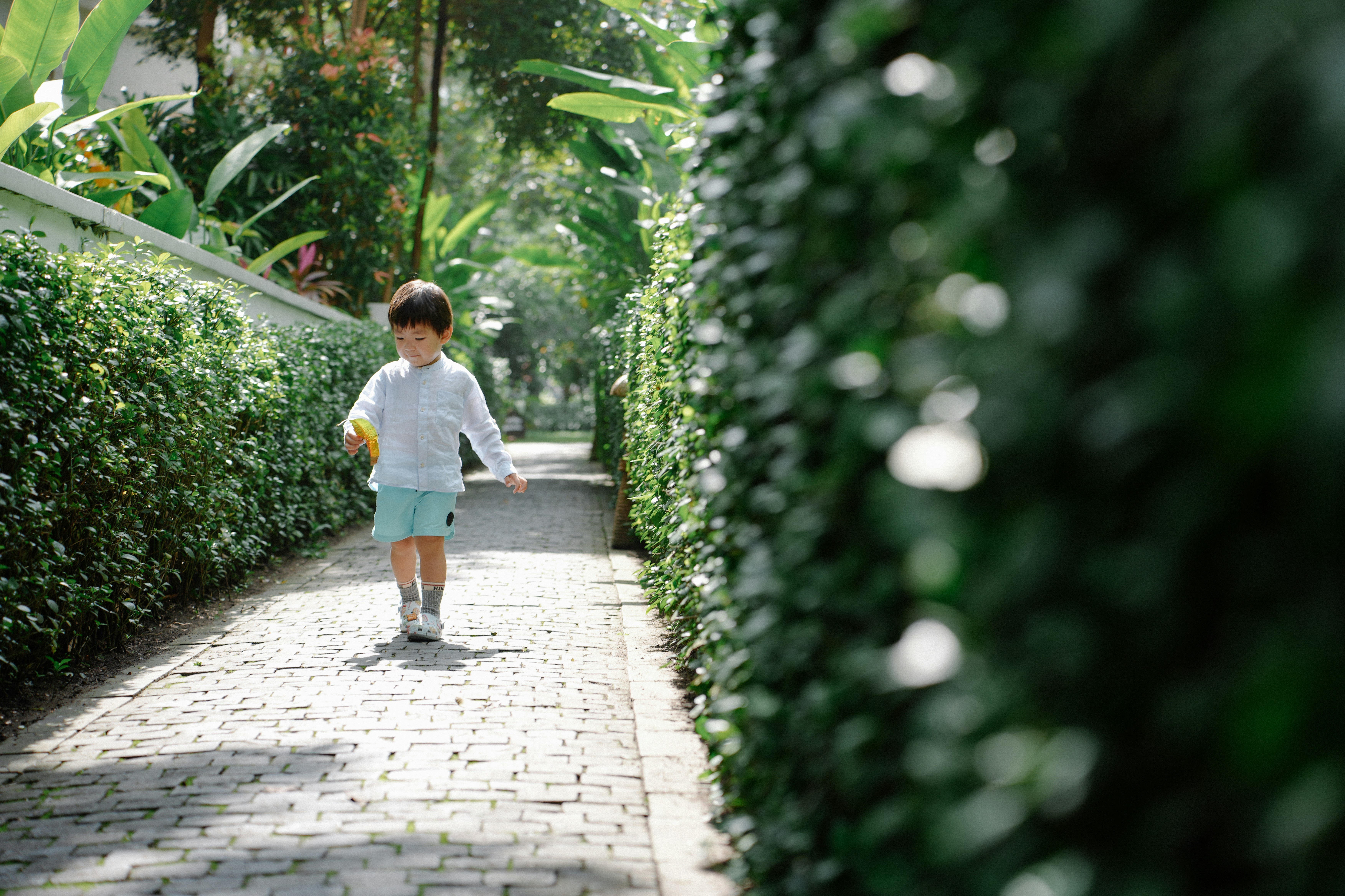 Child on a Sunlit Garden Path
