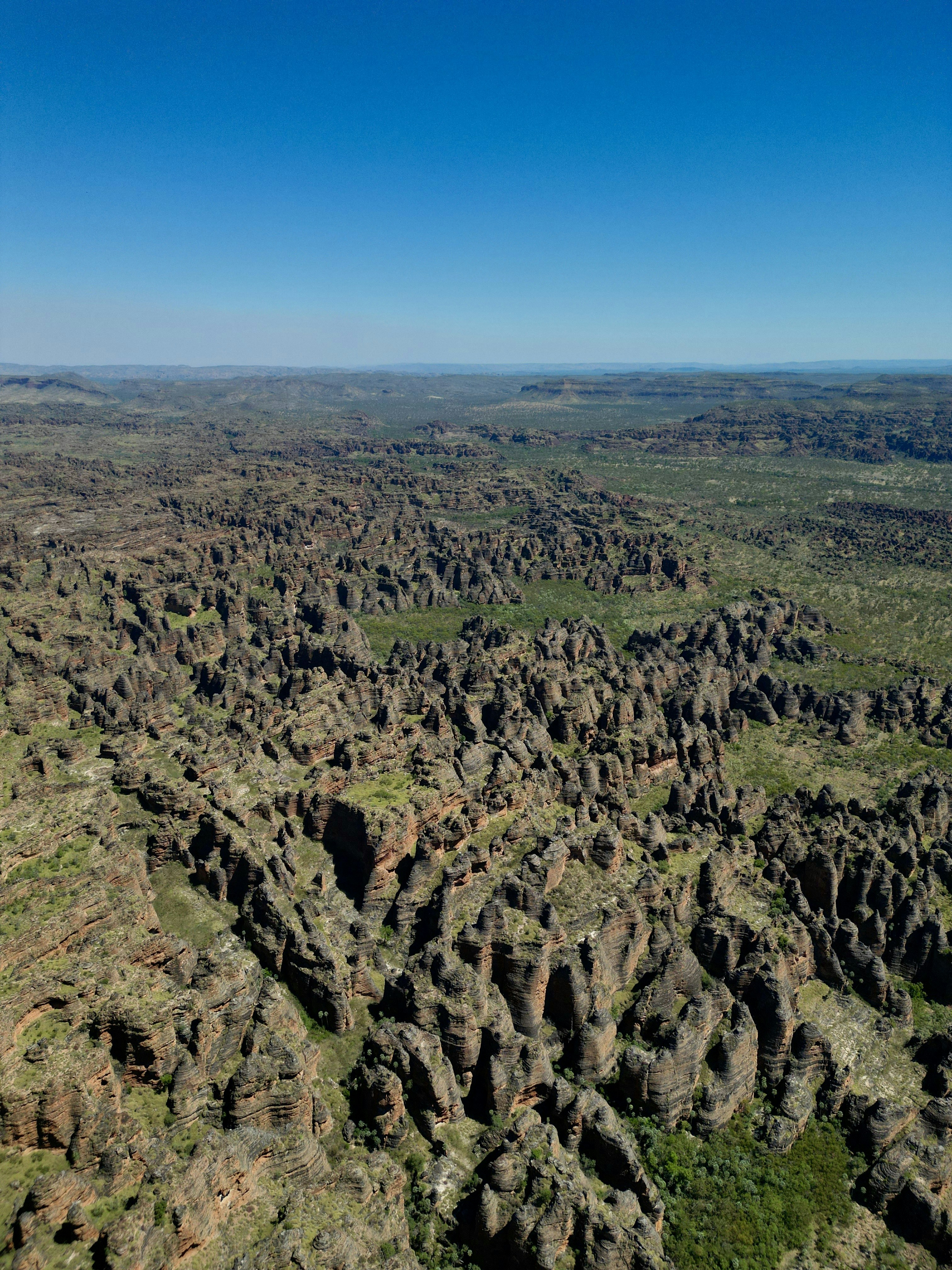 Windswept Gorges: A Sea of Weathered Pillars under a Wide Blue Sky