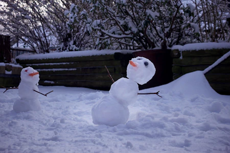 Three Snowy Sculptures in a Dim Winter Scene