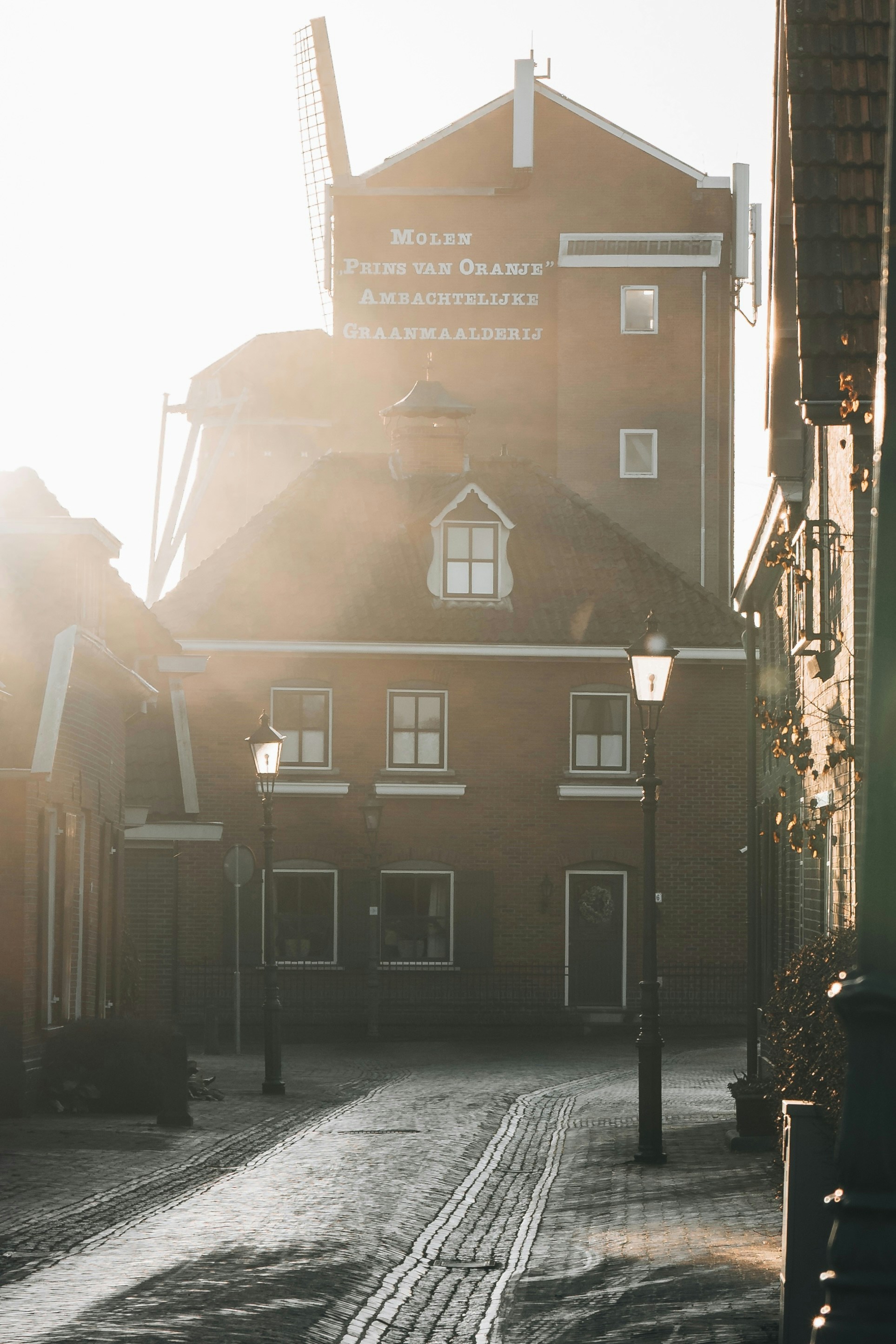 Golden Hour in the Quiet Dutch Courtyard