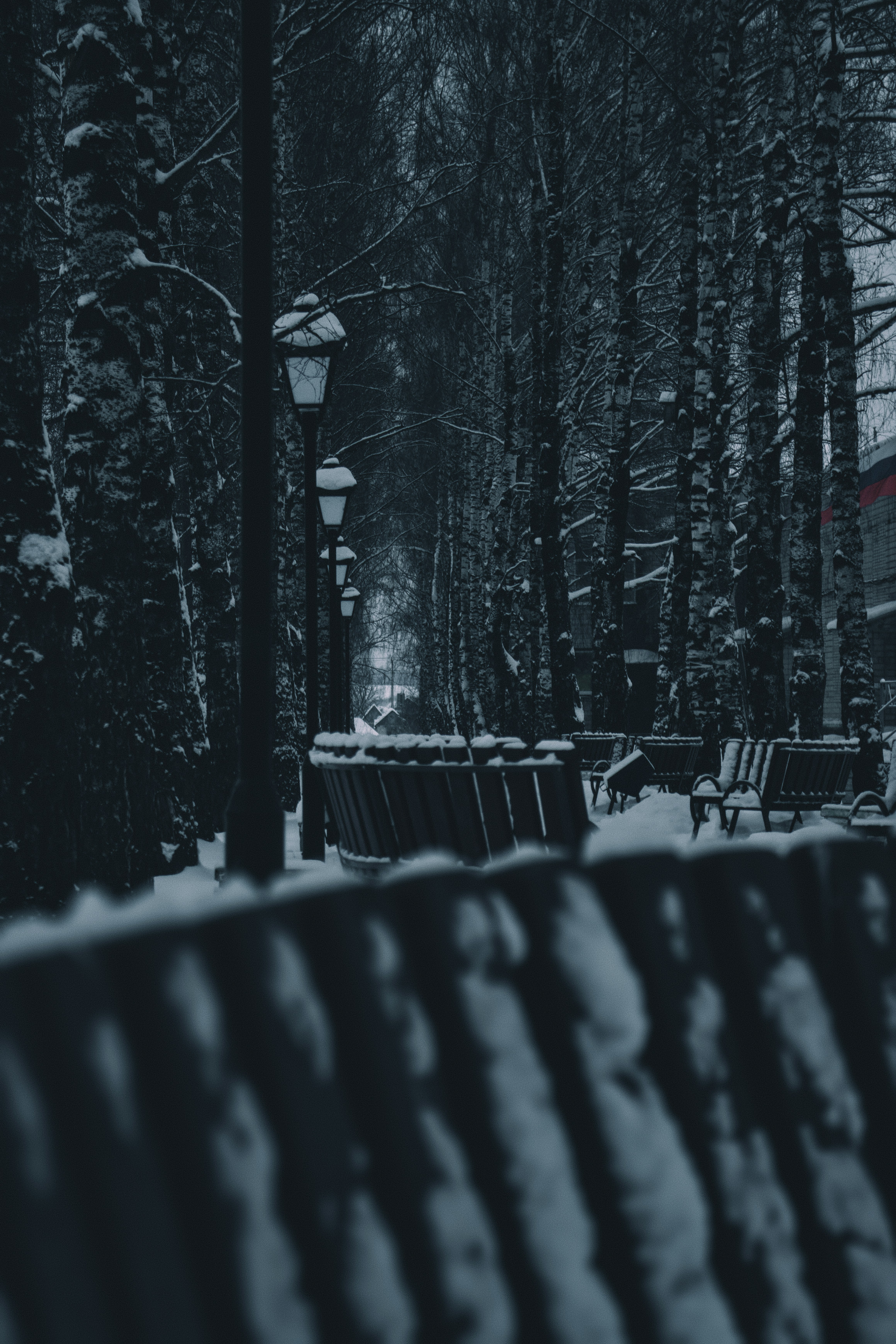 Snow-lit Arc: A Quiet Winter Walk in a Silent Park