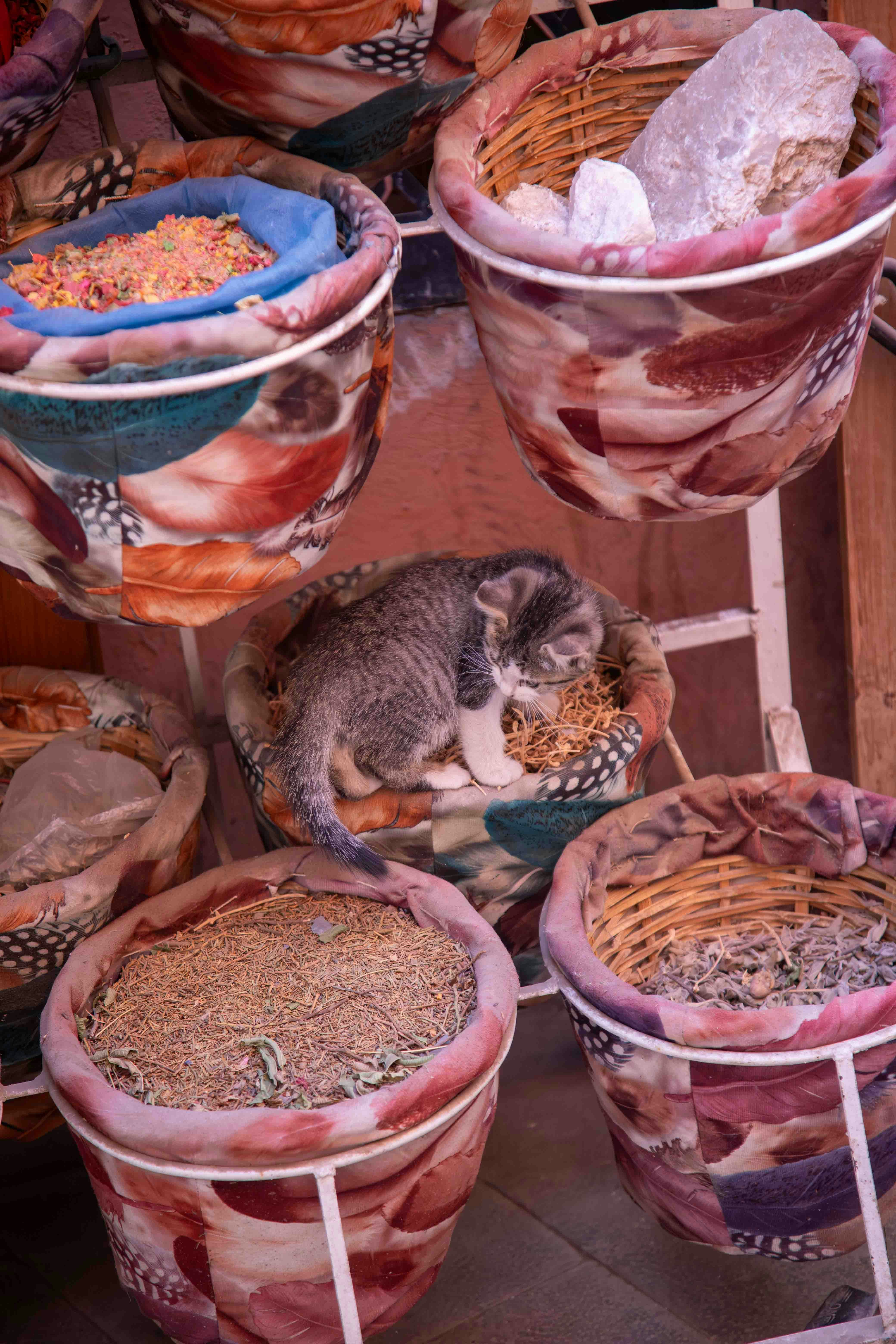 Cozy Cat Nest among Patchwork Baskets