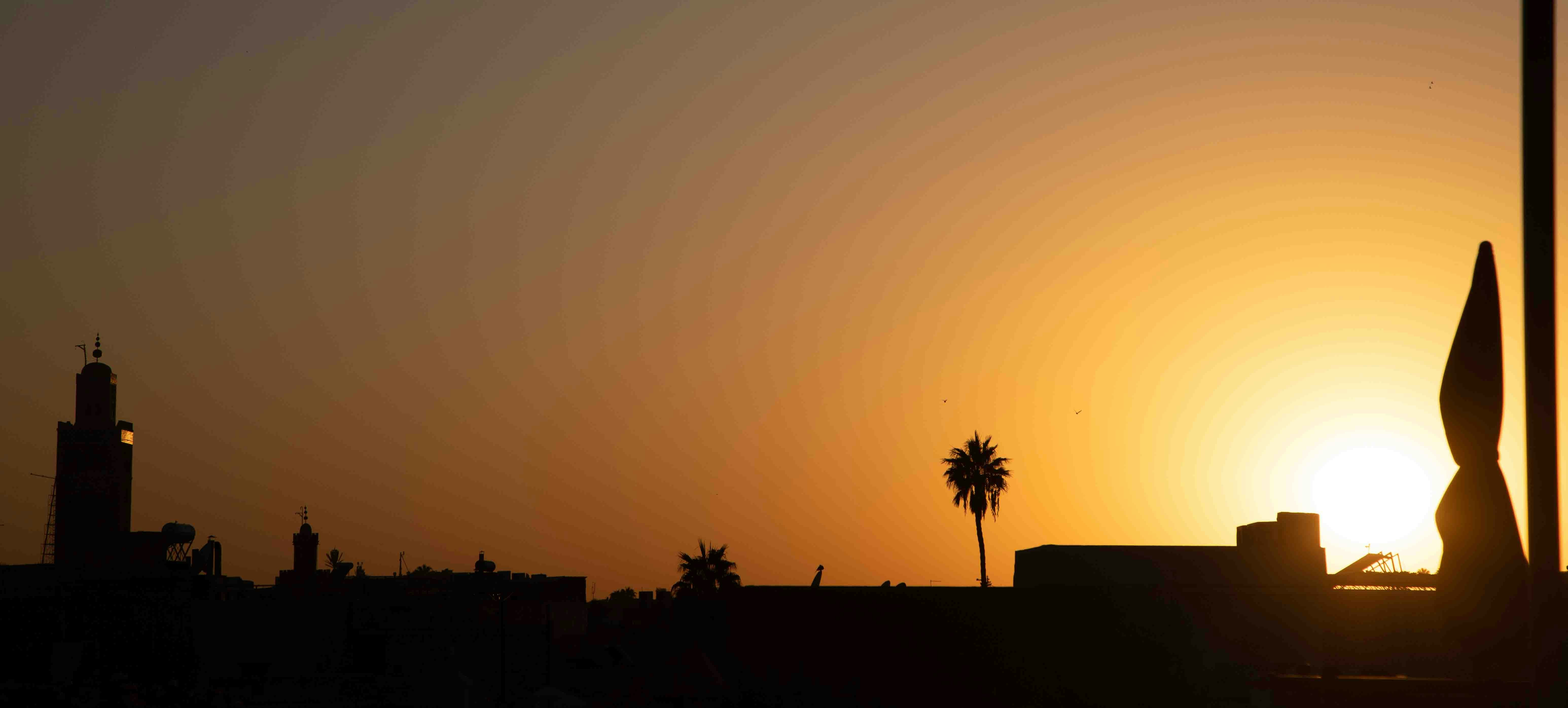 Photo by Bernd 📷 Dittrich with Canon EOS 6D Mark II