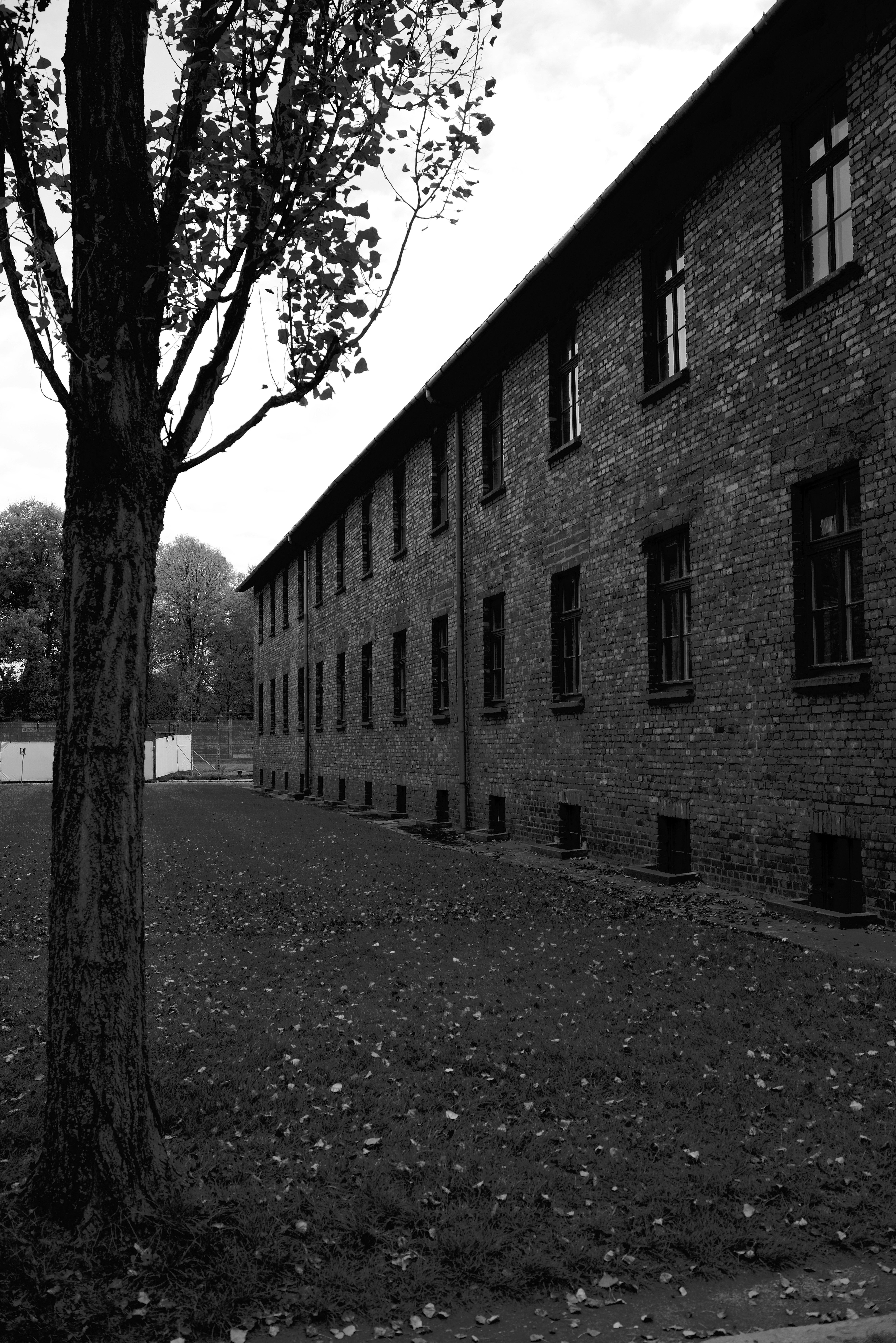 Industrial Evening: Brick Building and Leafy Foreground in Monochrome