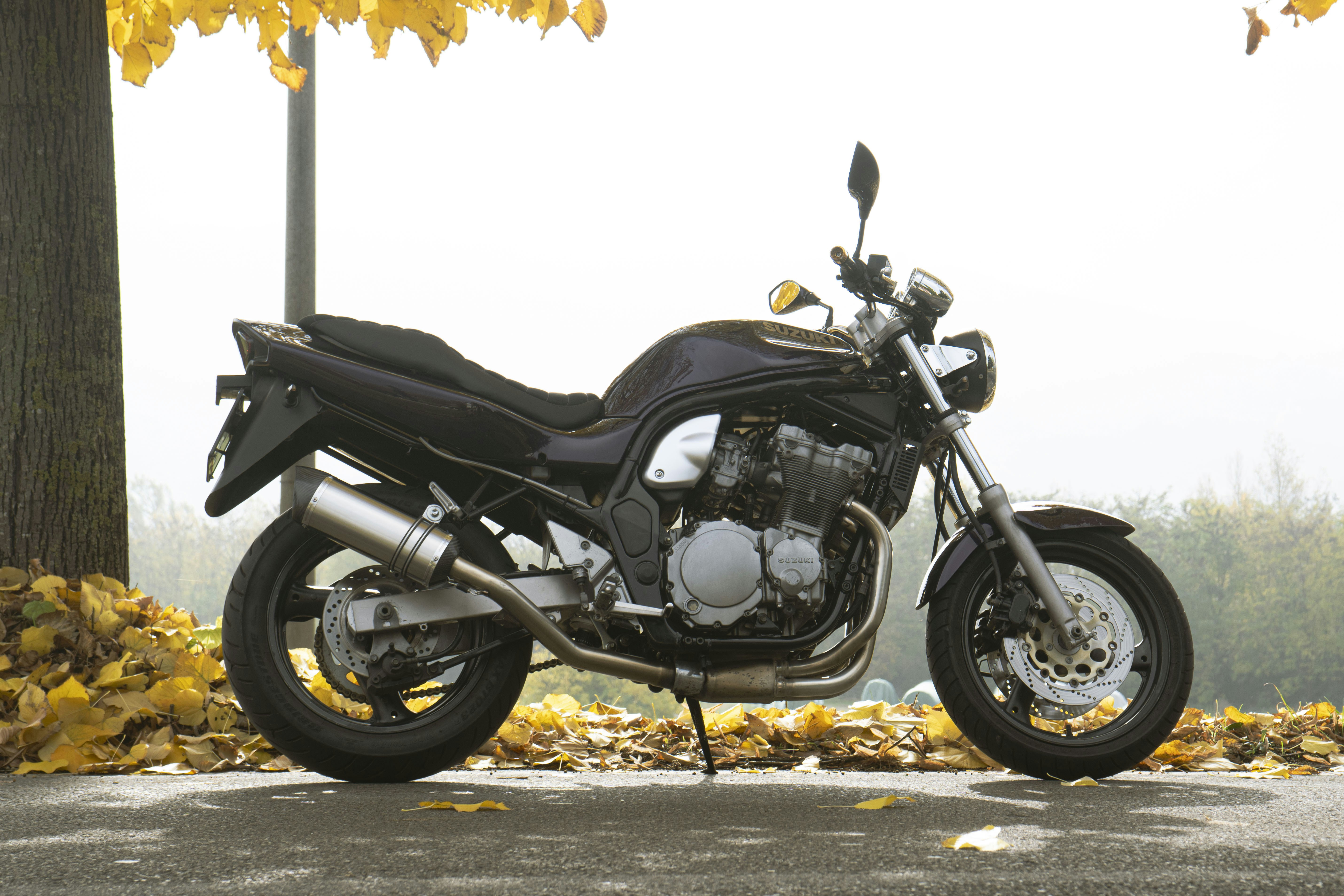 Midnight Rider on Autumn Street