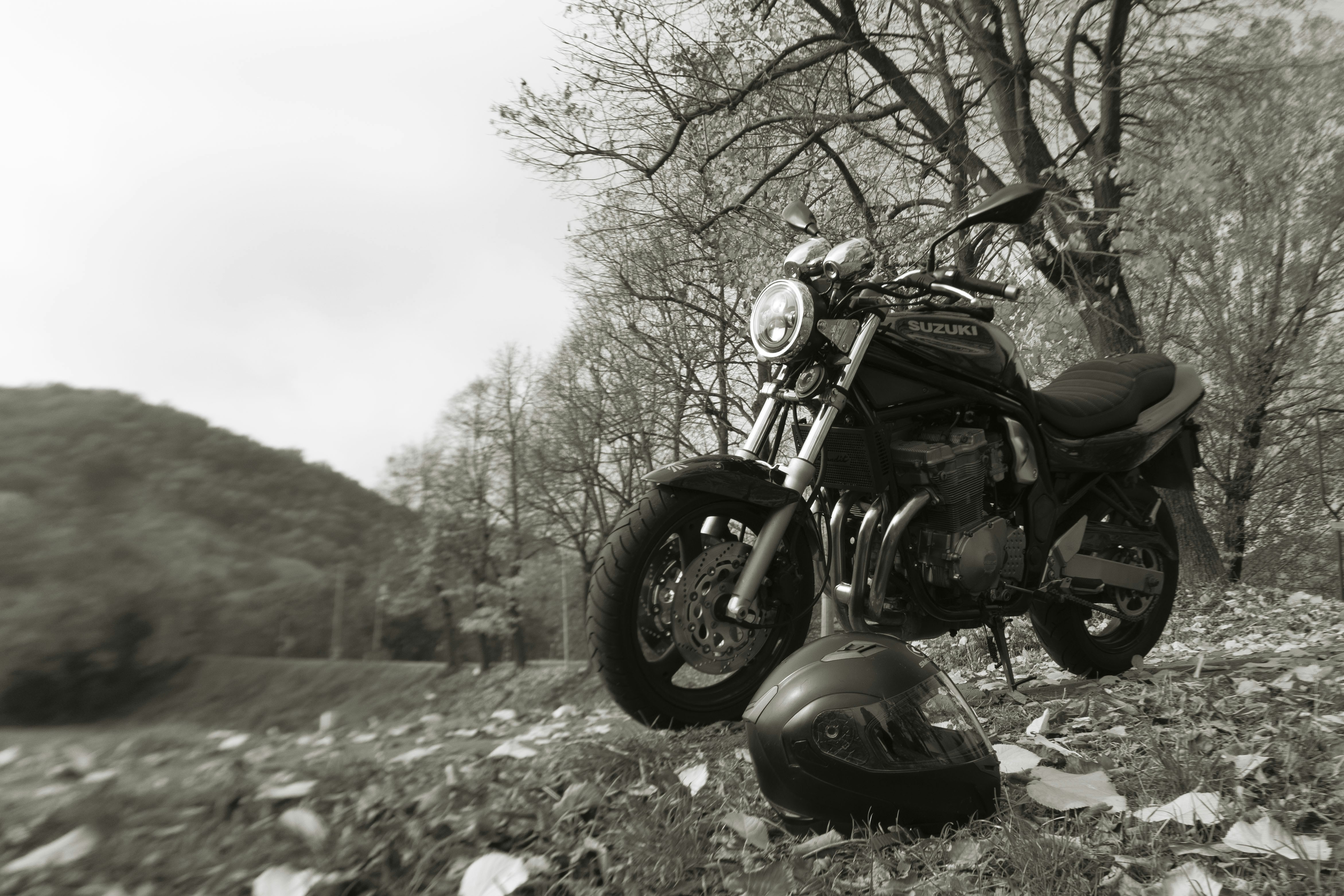 Vintage-Roadster Resting on a Leafy Bend