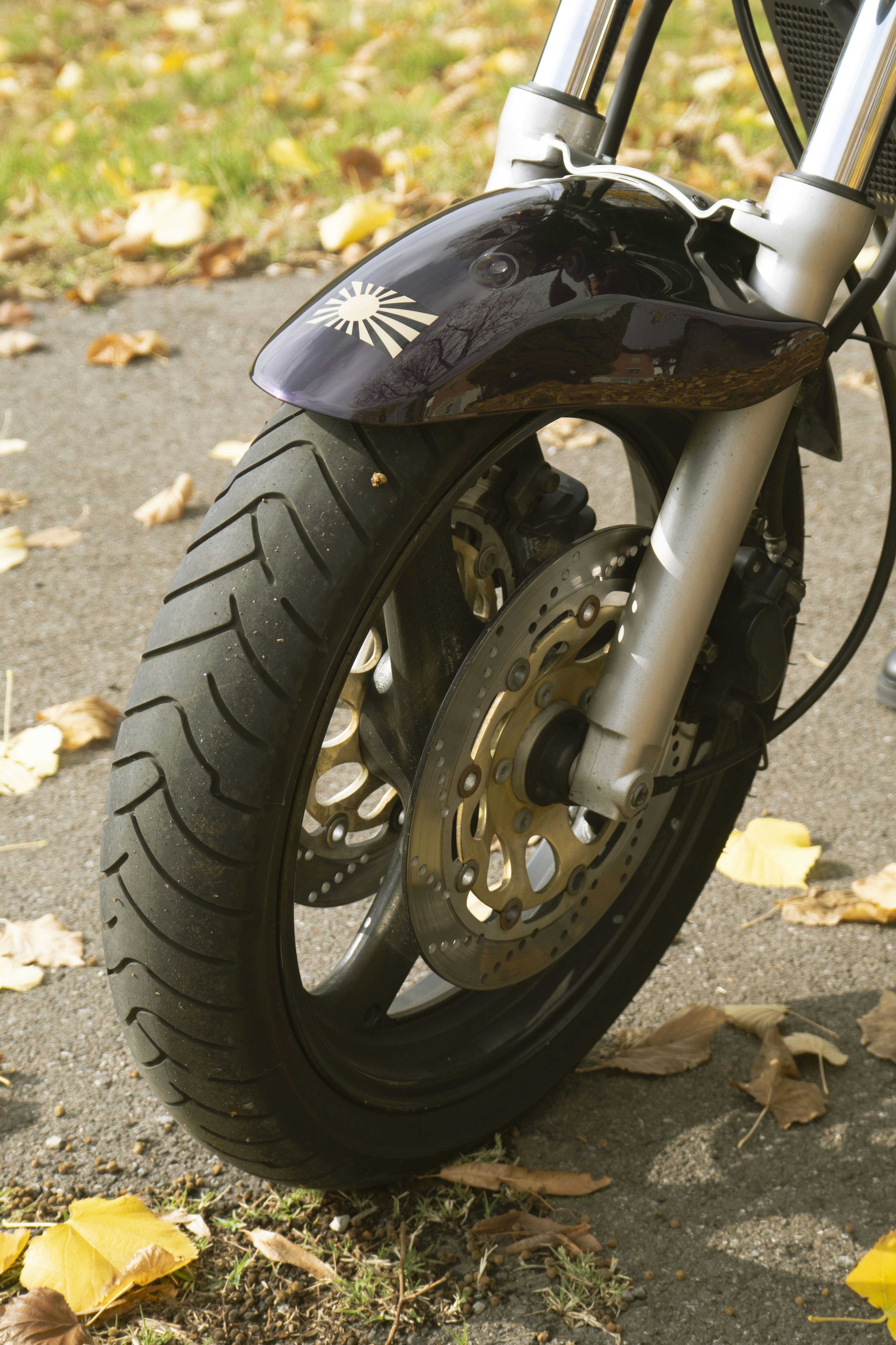 Front Wheel Ready for Ride: A Latent Moment on Autumn Asphalt
