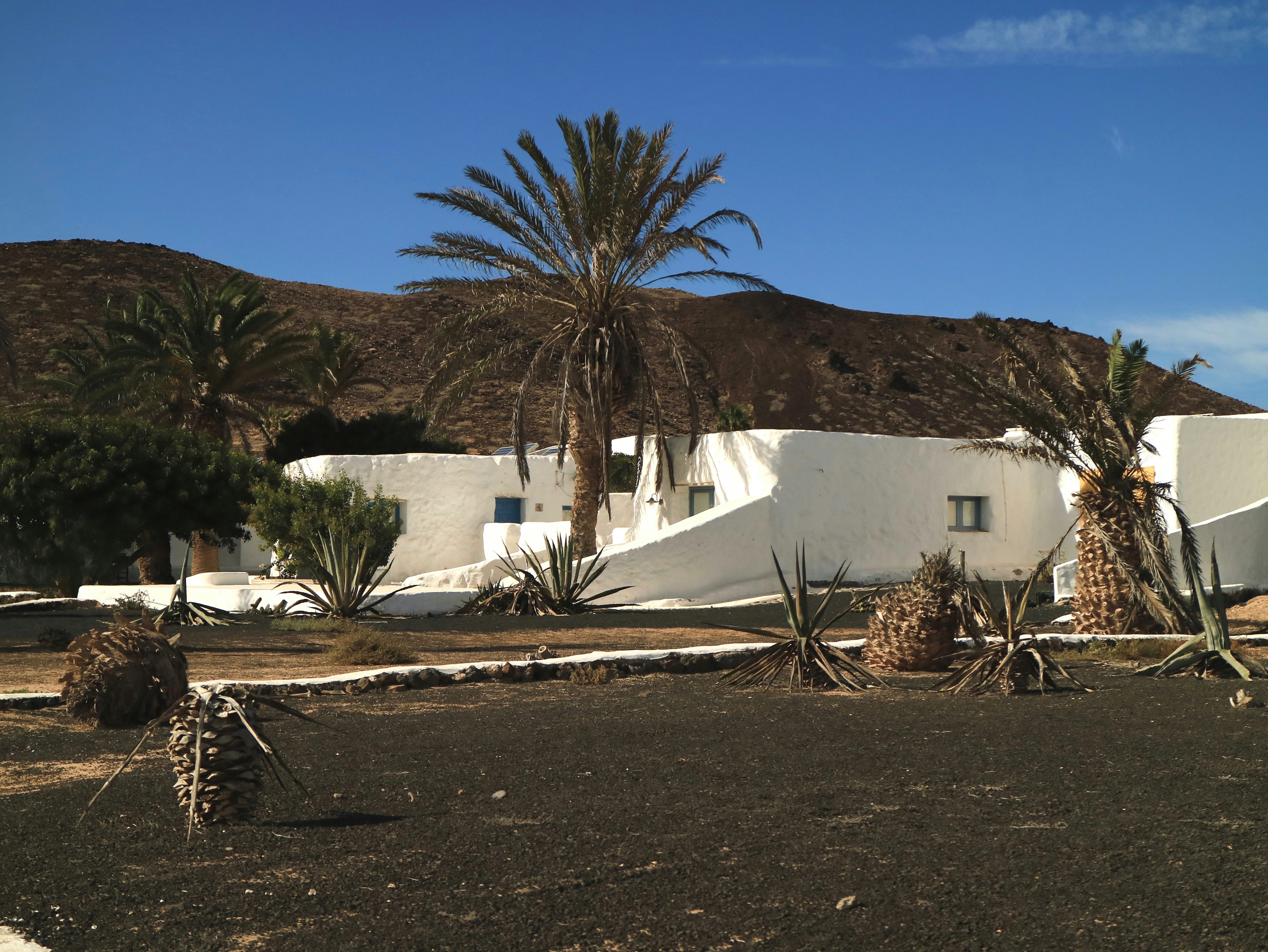 White Village Oasis Beneath a Blue Dome of Sky