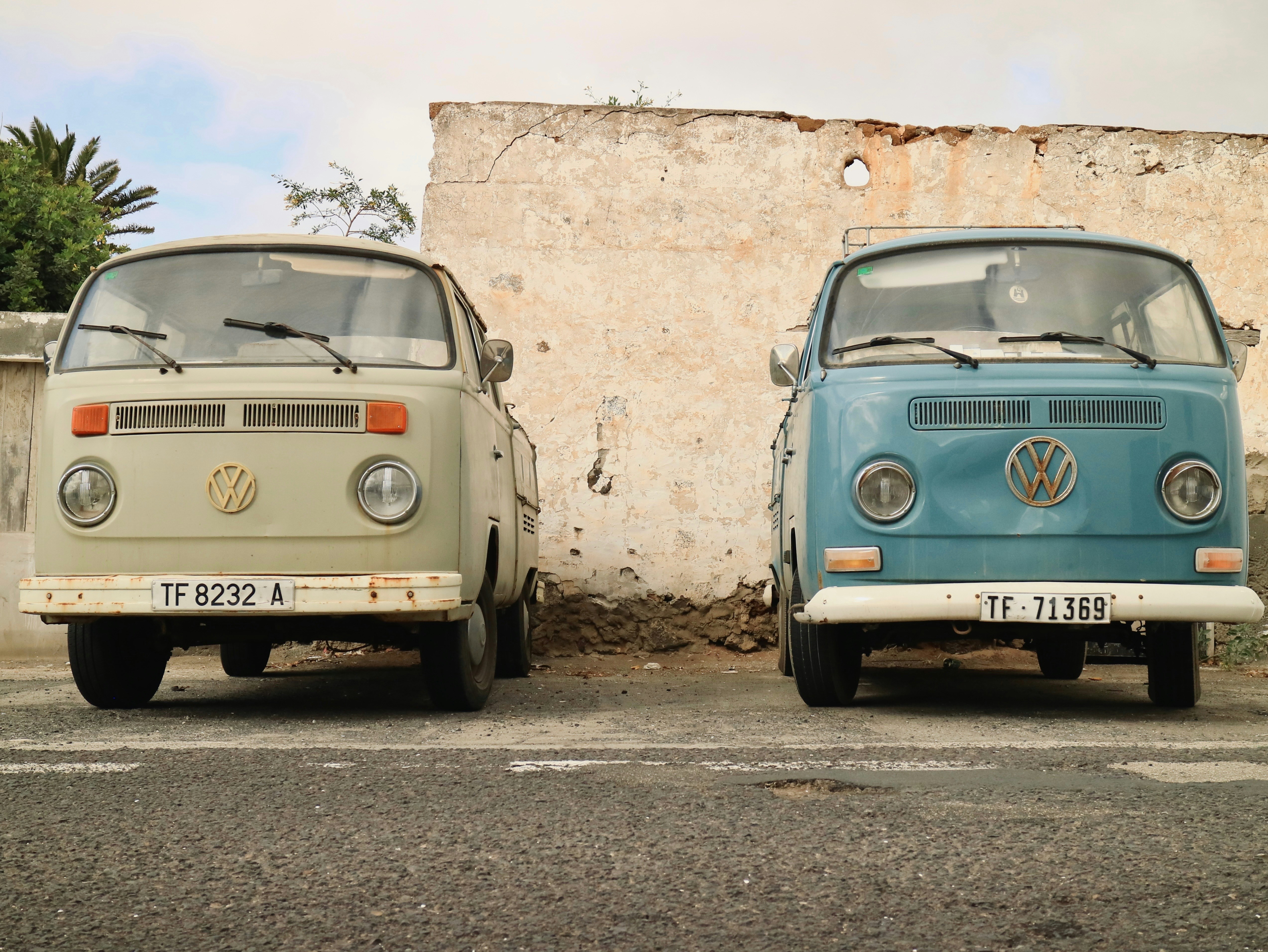 Twin VWs at Rest: A Quiet Show of Pastel Patina