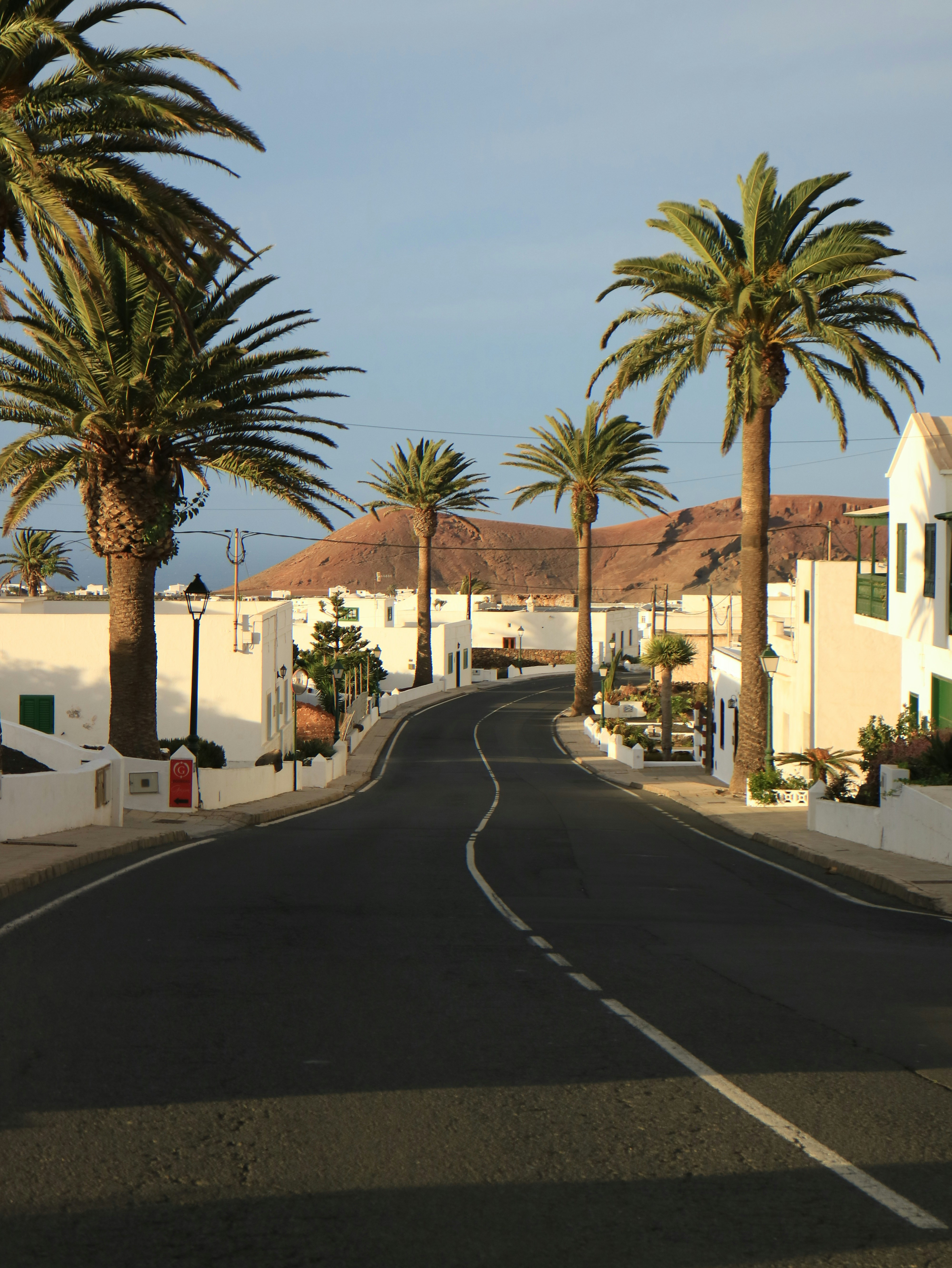 Palm-lined boulevard winding toward distant hills