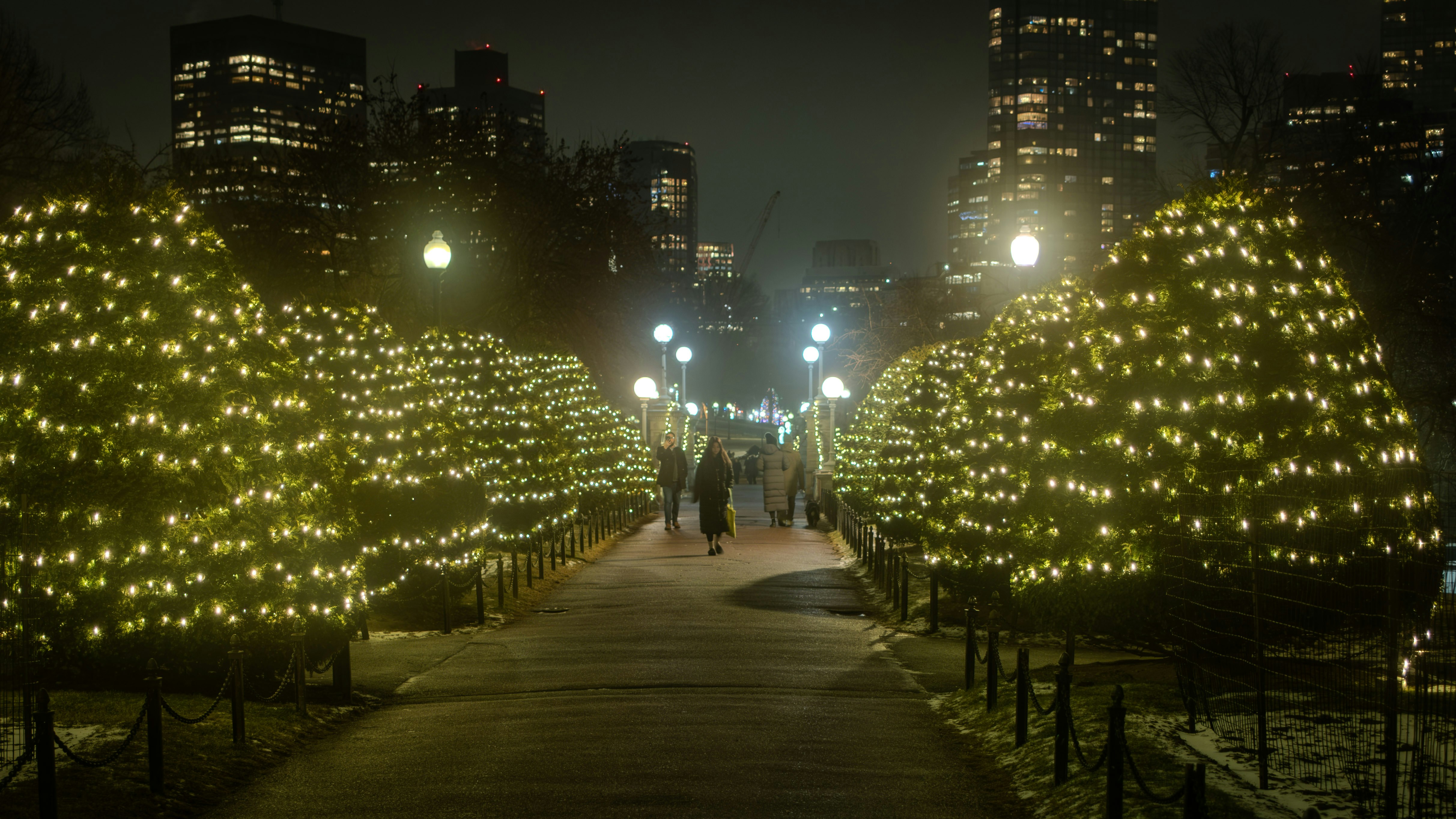 Night Garden of Golden Orbs Along a Quiet City Walk