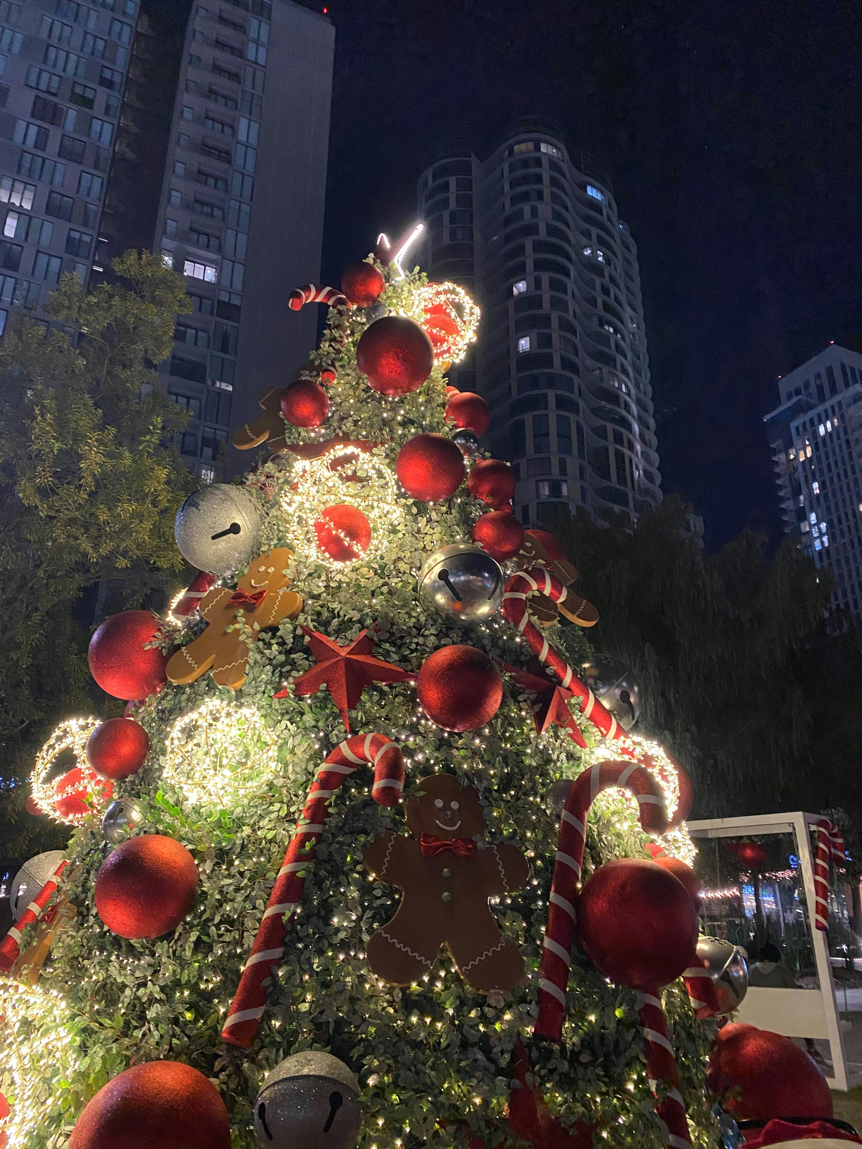 Glowing Christmas Tree Towering Over the Night City