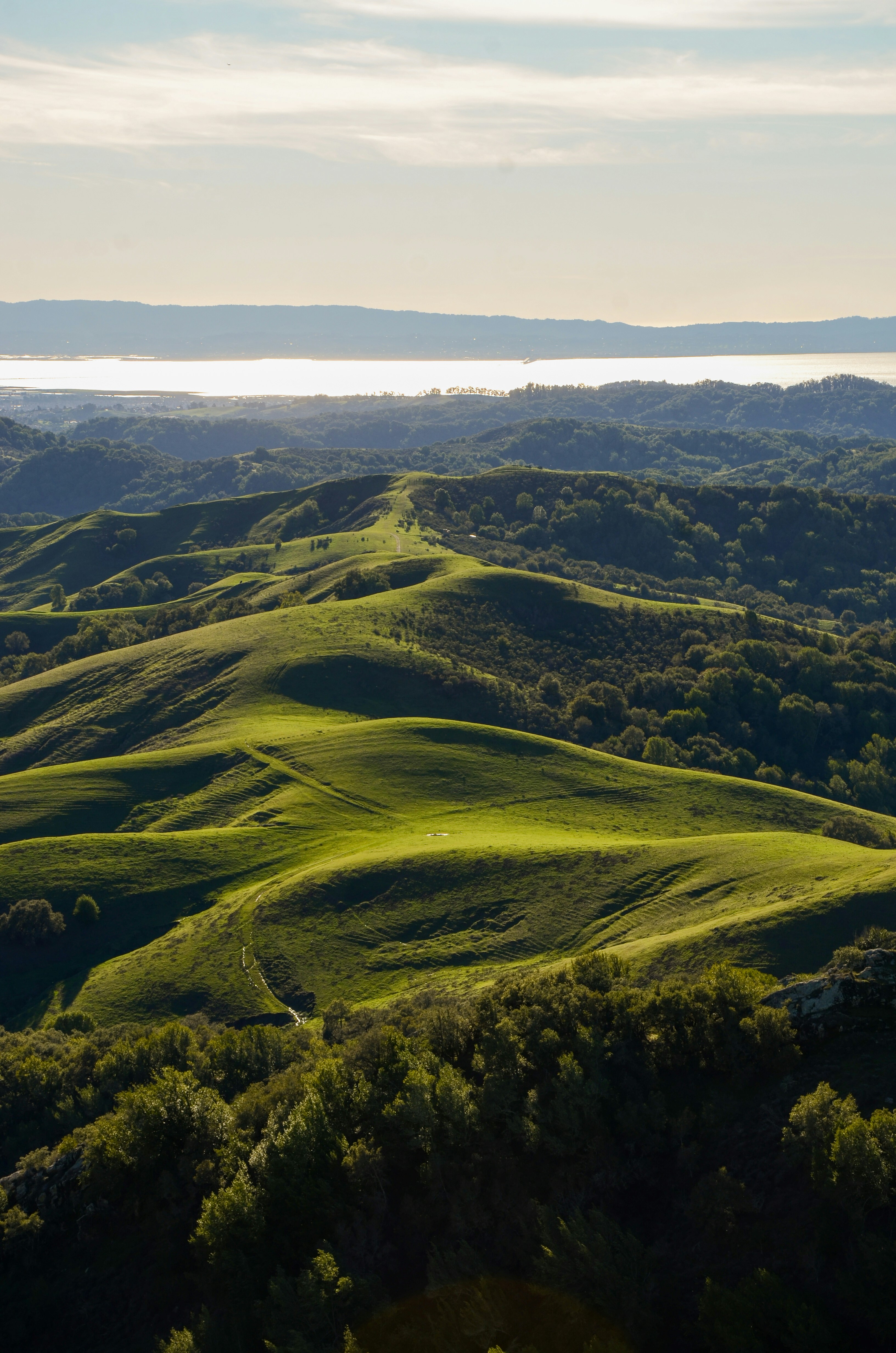 Golden Ridges: Serene Hills Over a Shimmering Bay