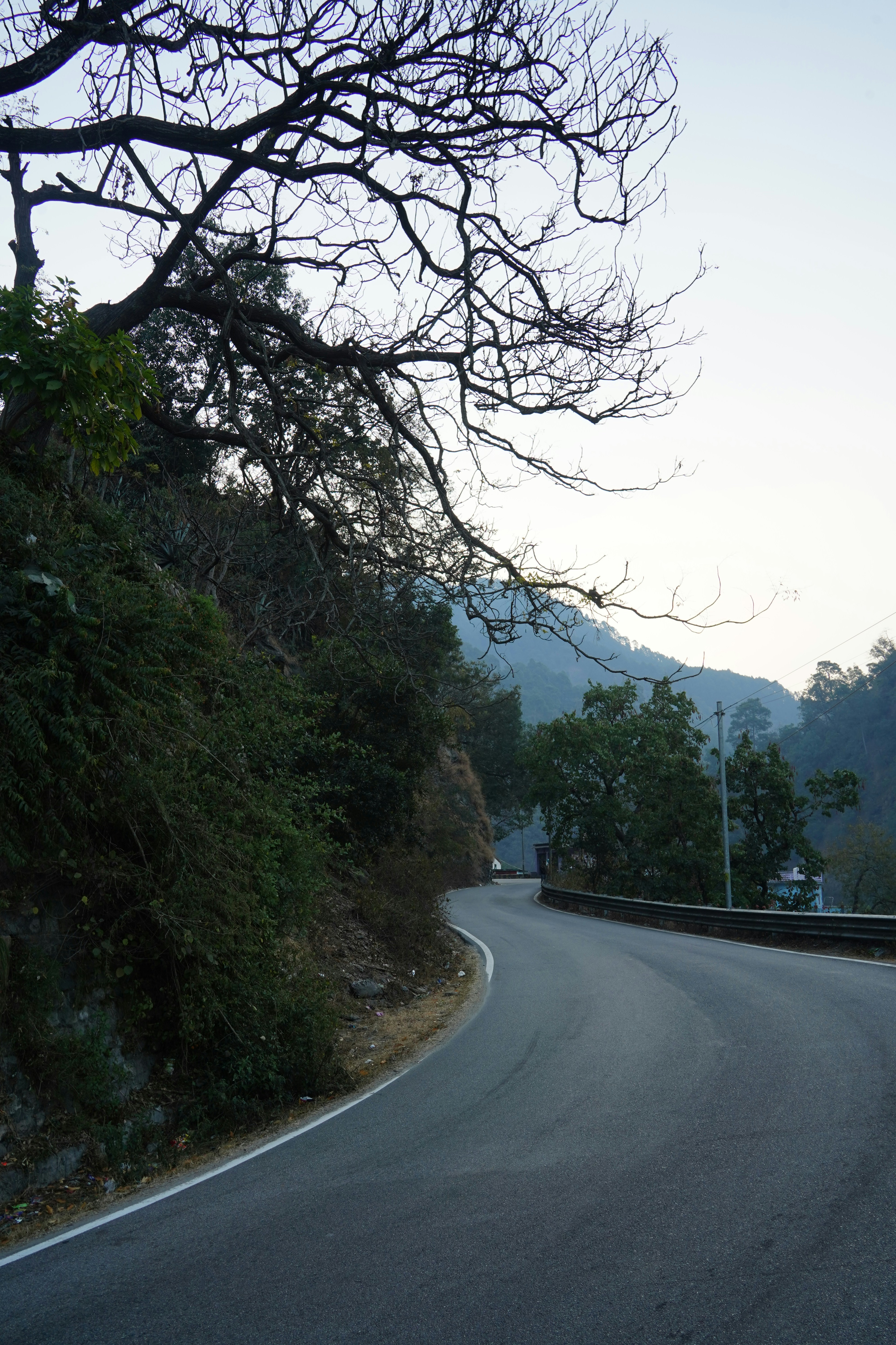 Winding Mountain Road Dives into Quiet Dusk